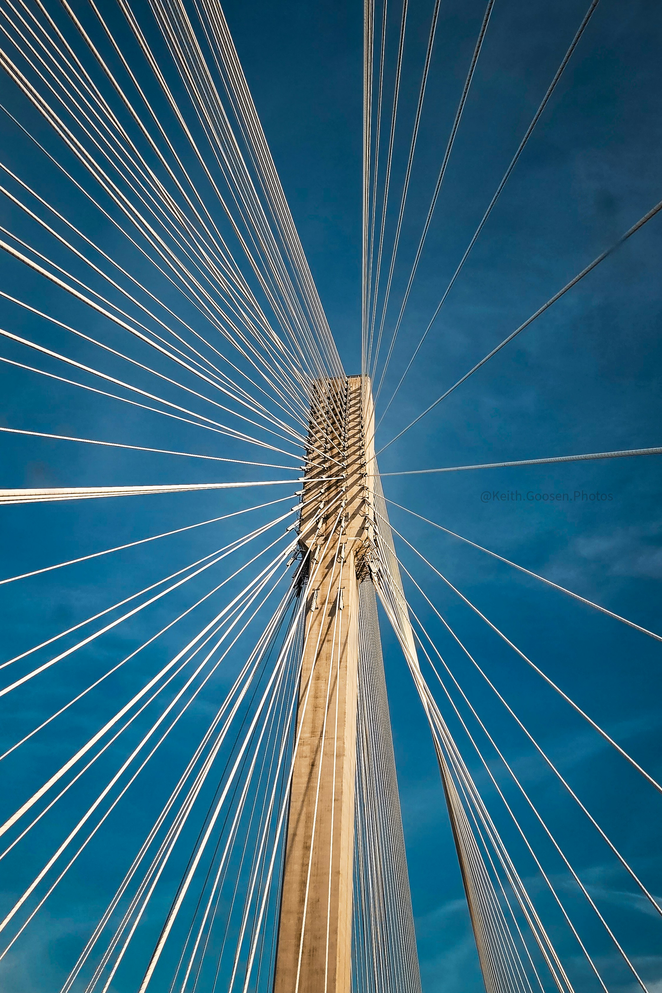 Sample photo from Samsung Galaxy S25