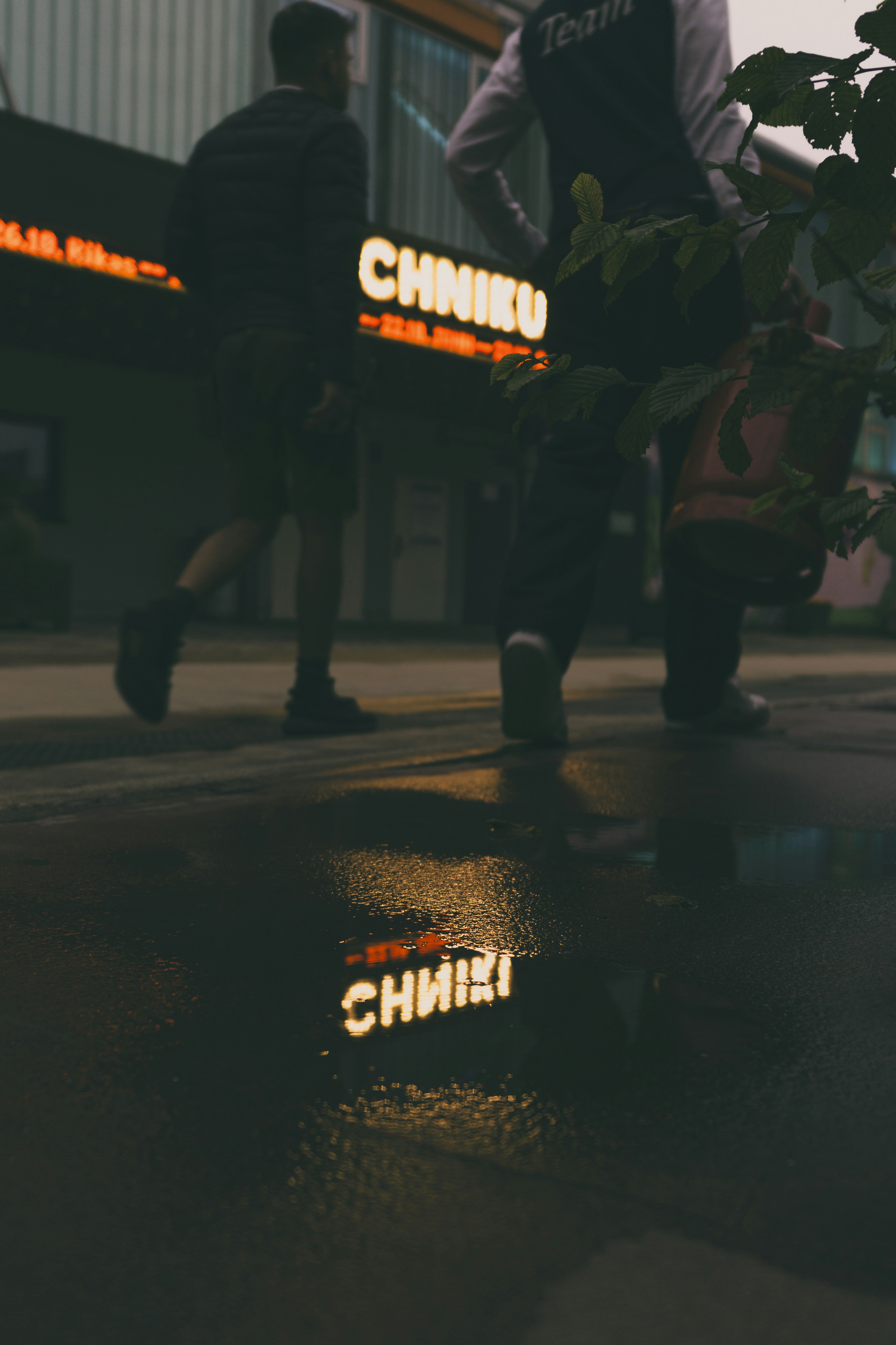 Reflections of Urban Life