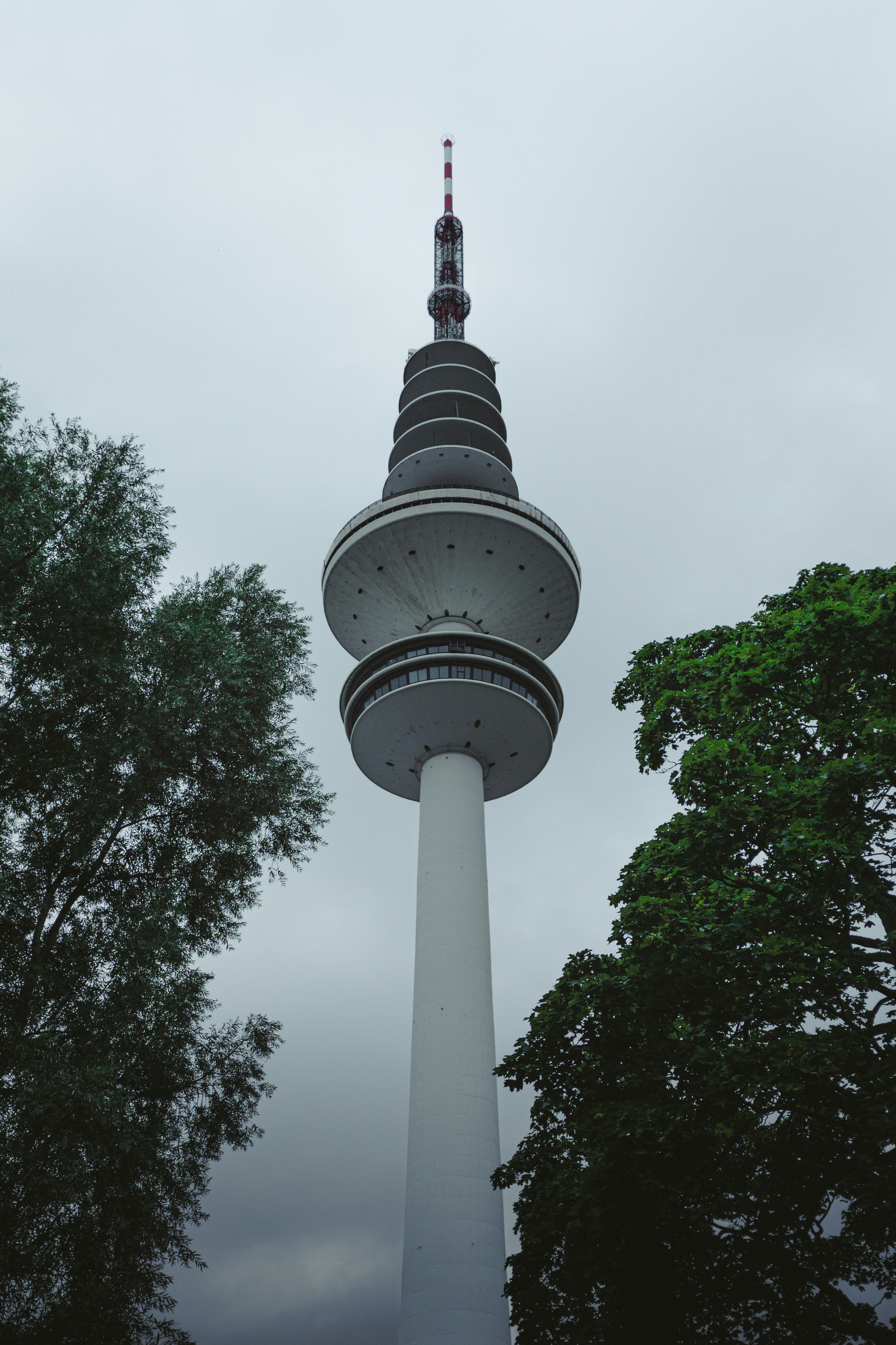 Vertical Elegance: The Towering Presence