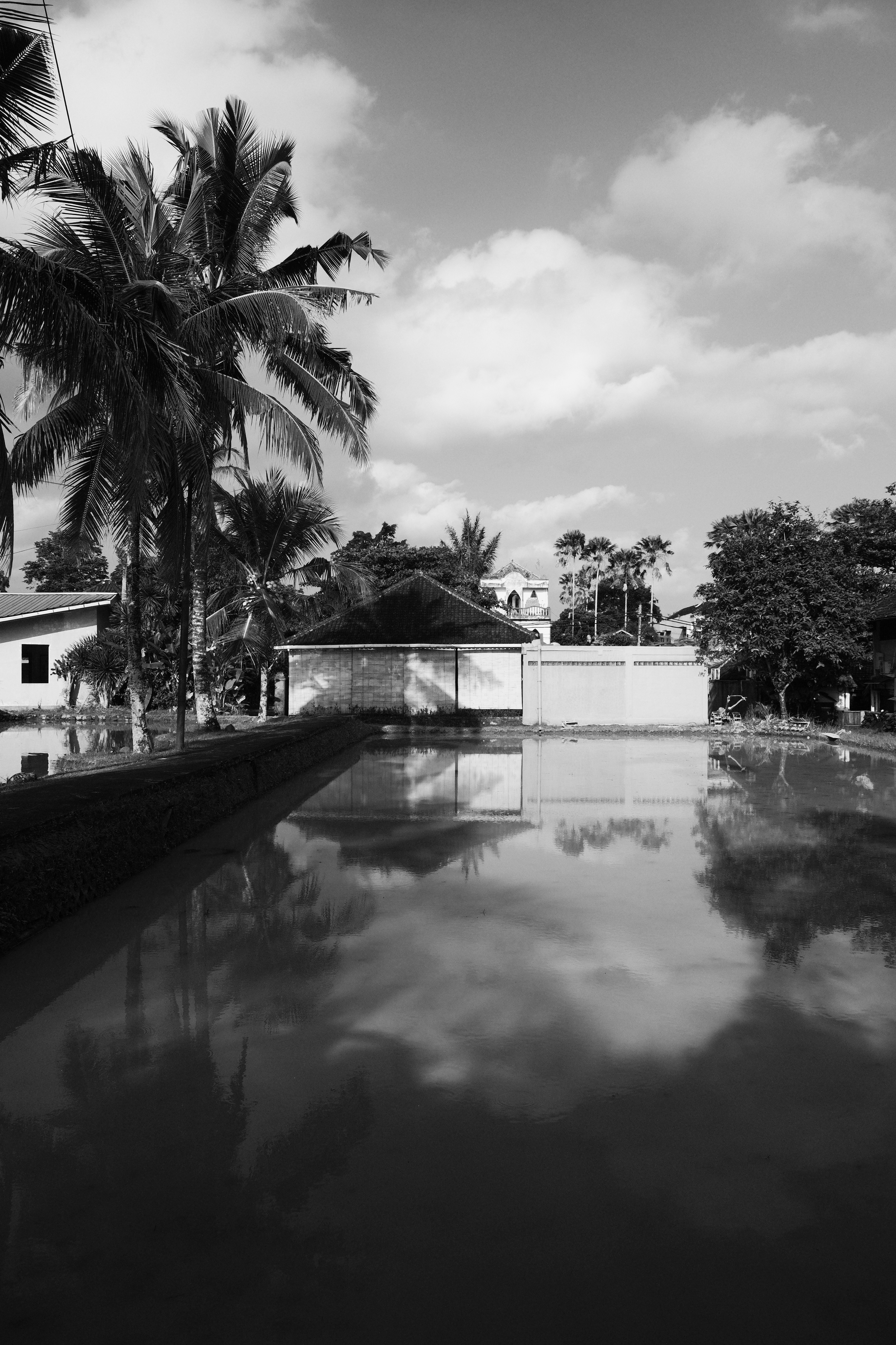 Serene landscape featuring palm trees and traditional architecture reflected in calm water, captured in black and white.