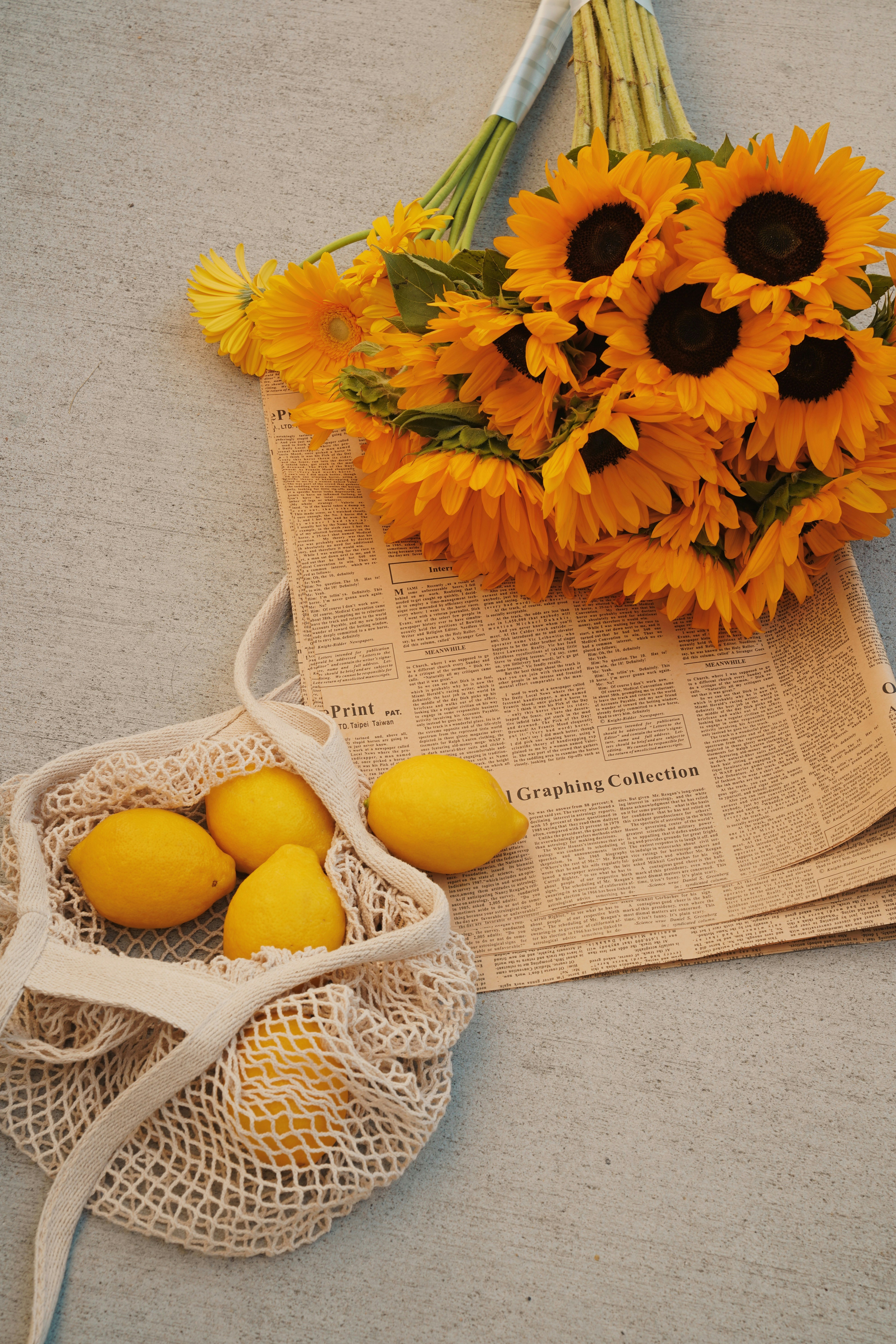 Sunshine and Citrus: A Vibrant Still Life