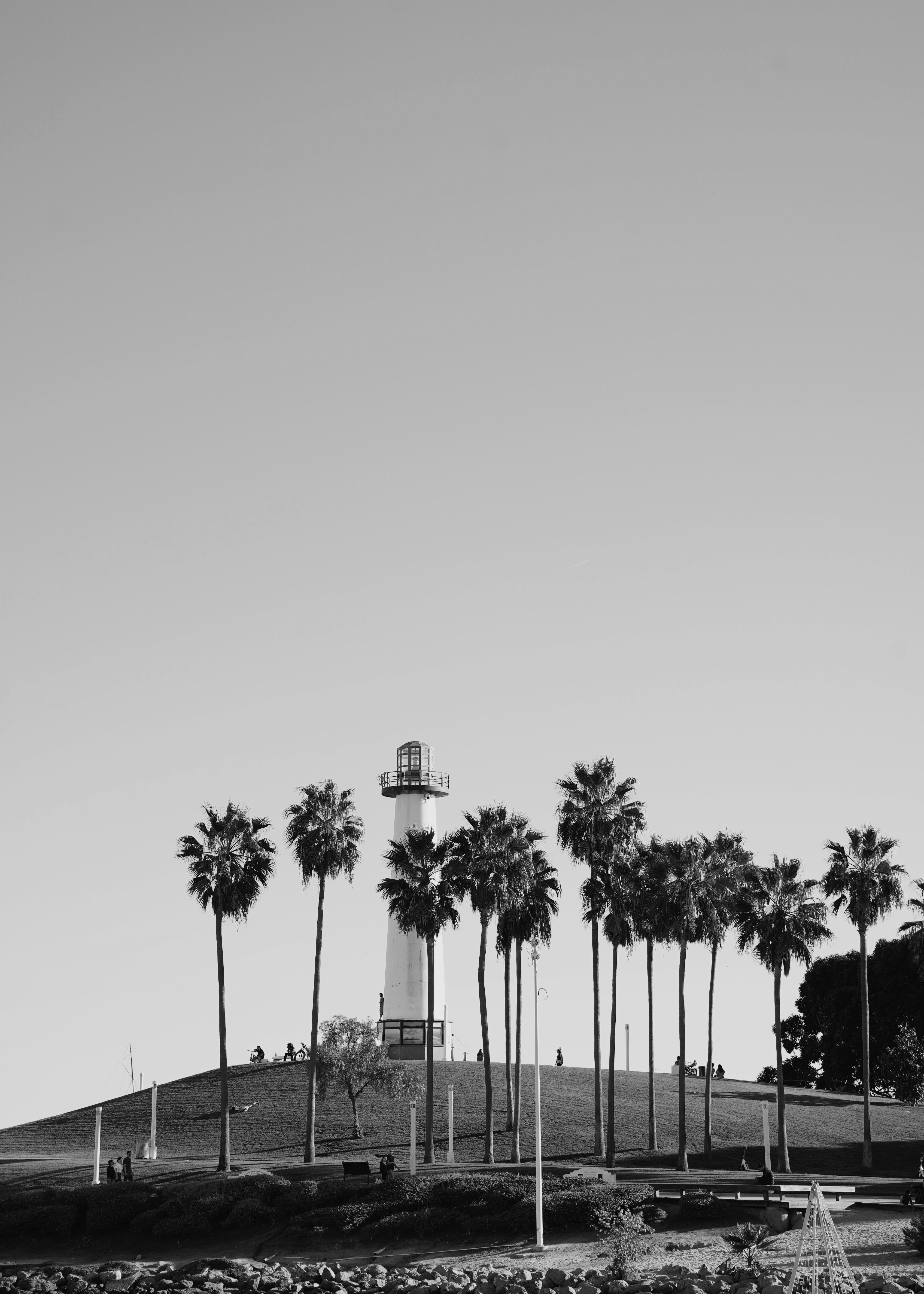 Lighthouse Among Palms | Lighthouse on a hill surrounded by palm trees