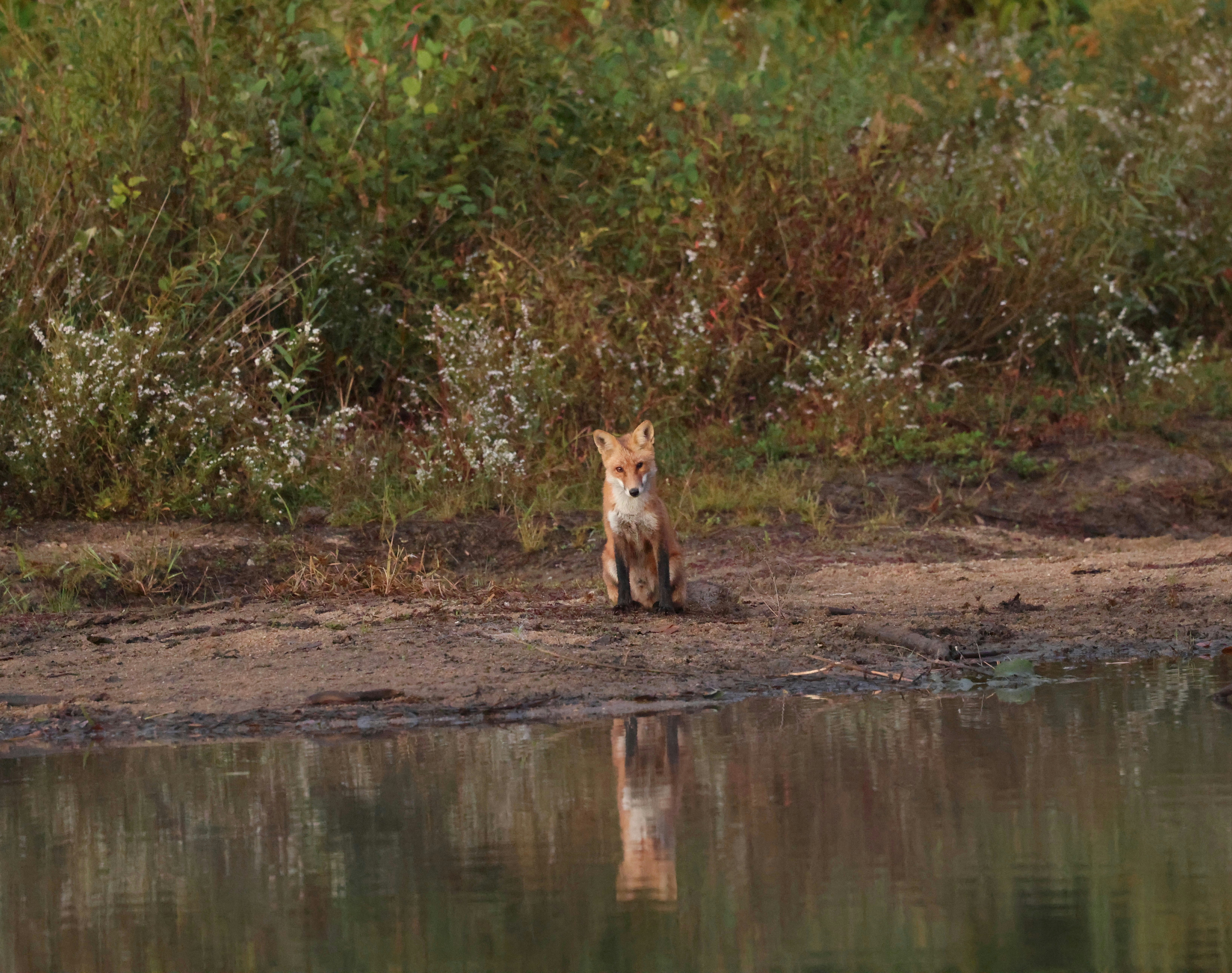 A Moment of Stillness by the Water's Edge