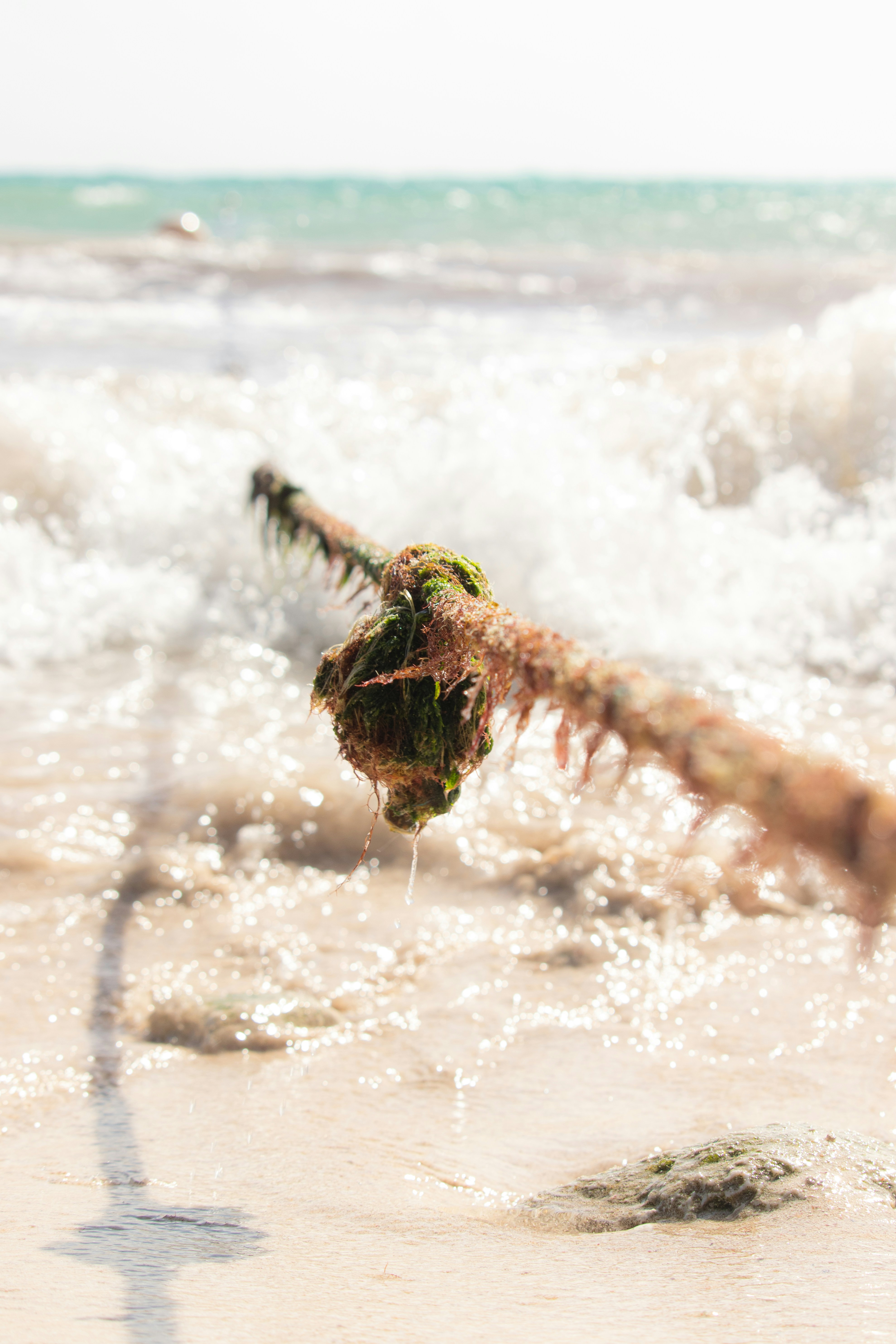 Nature's Resilient Thread