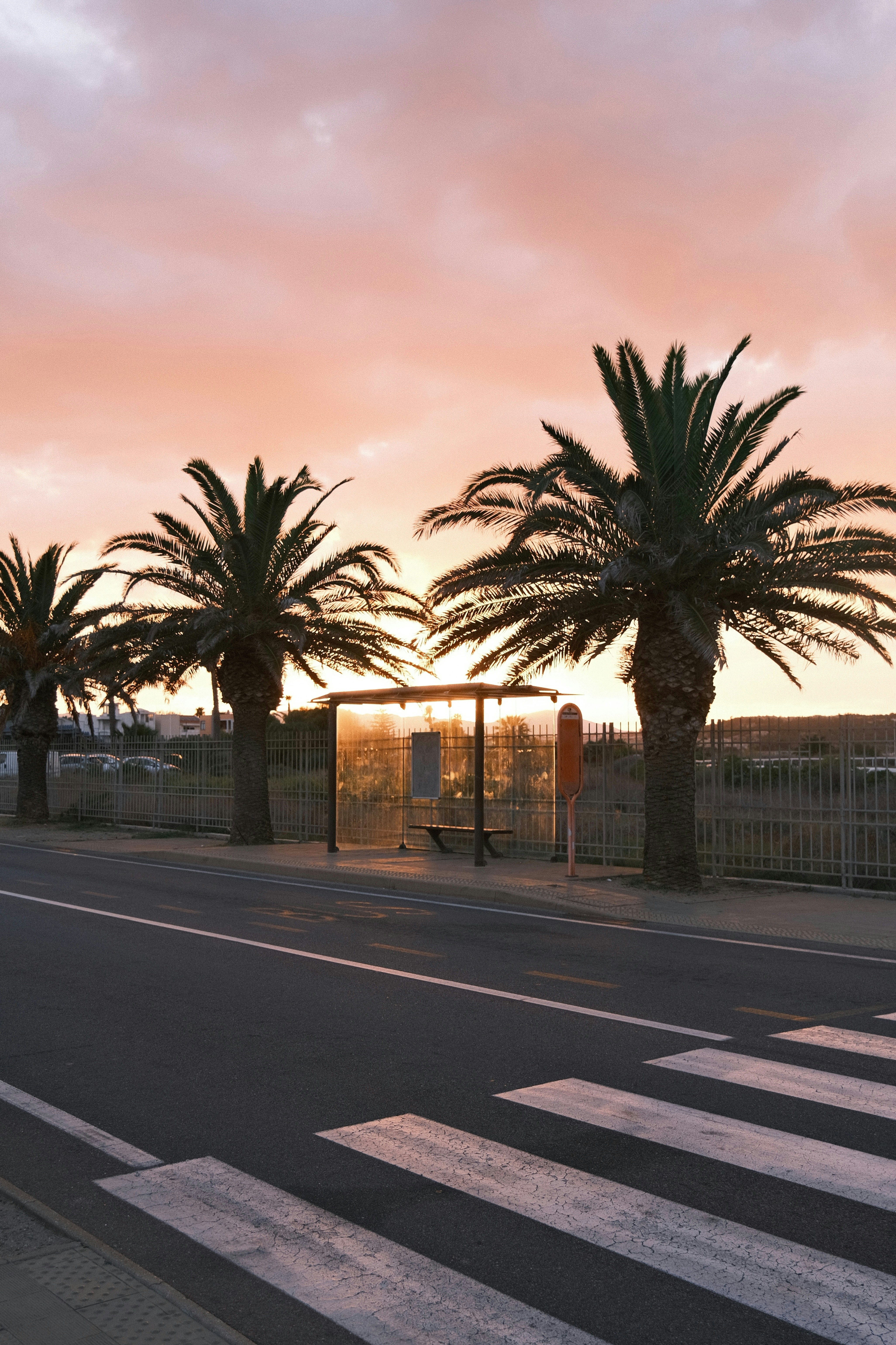 Sunset Serenity at the Bus Stop