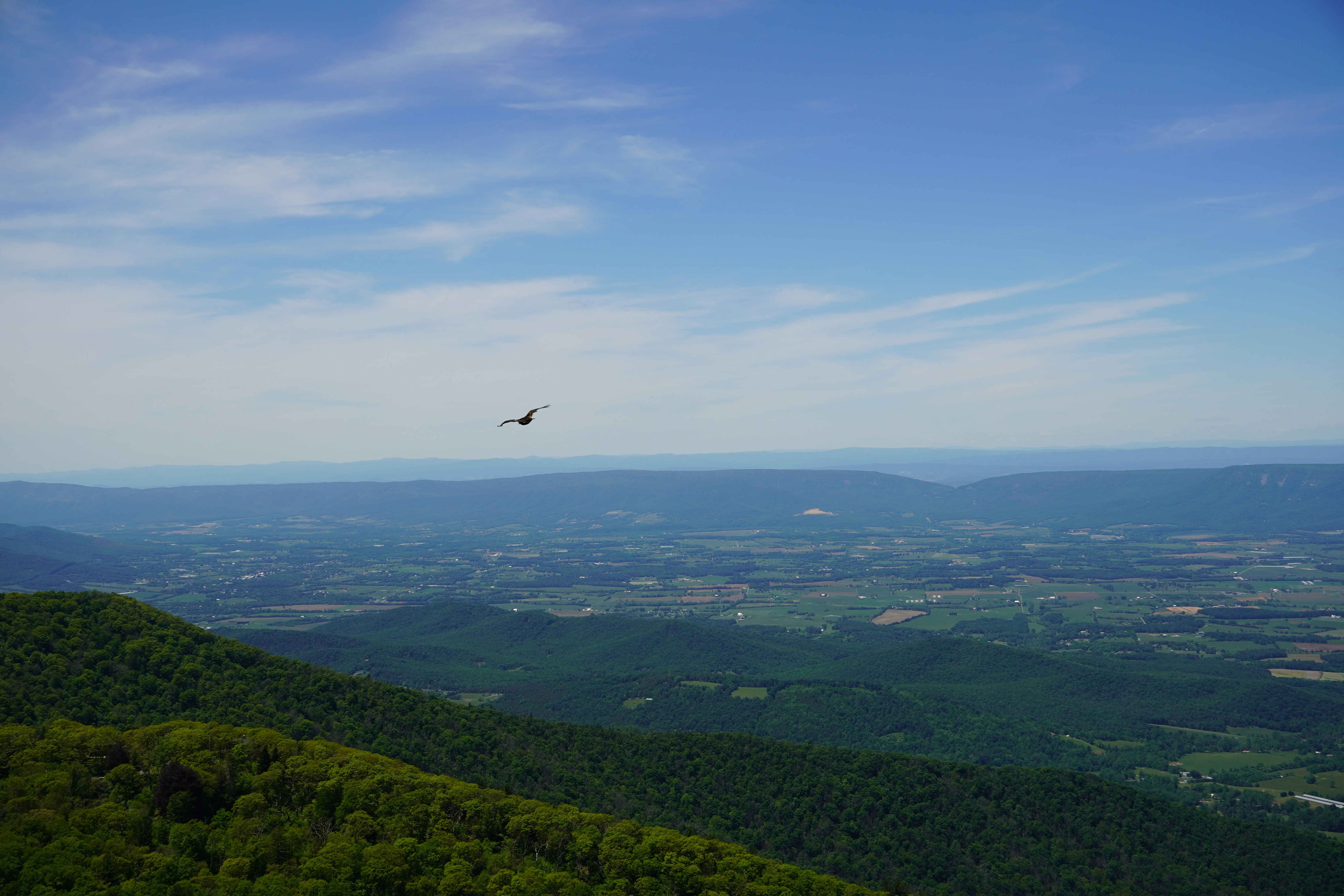 Soaring Above the Valley's Embrace