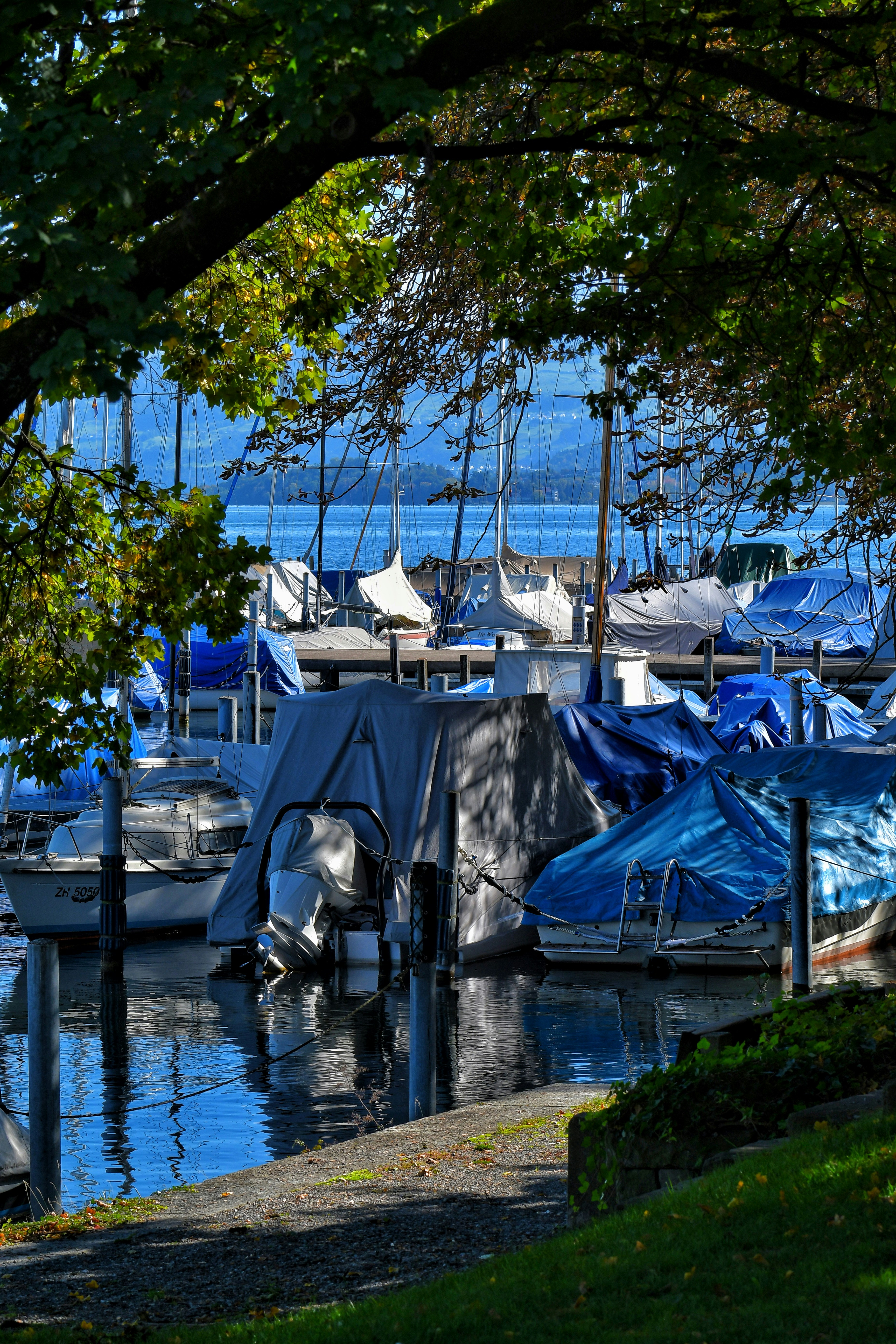 Harbor Serenity: A Tapestry of Boats and Reflections