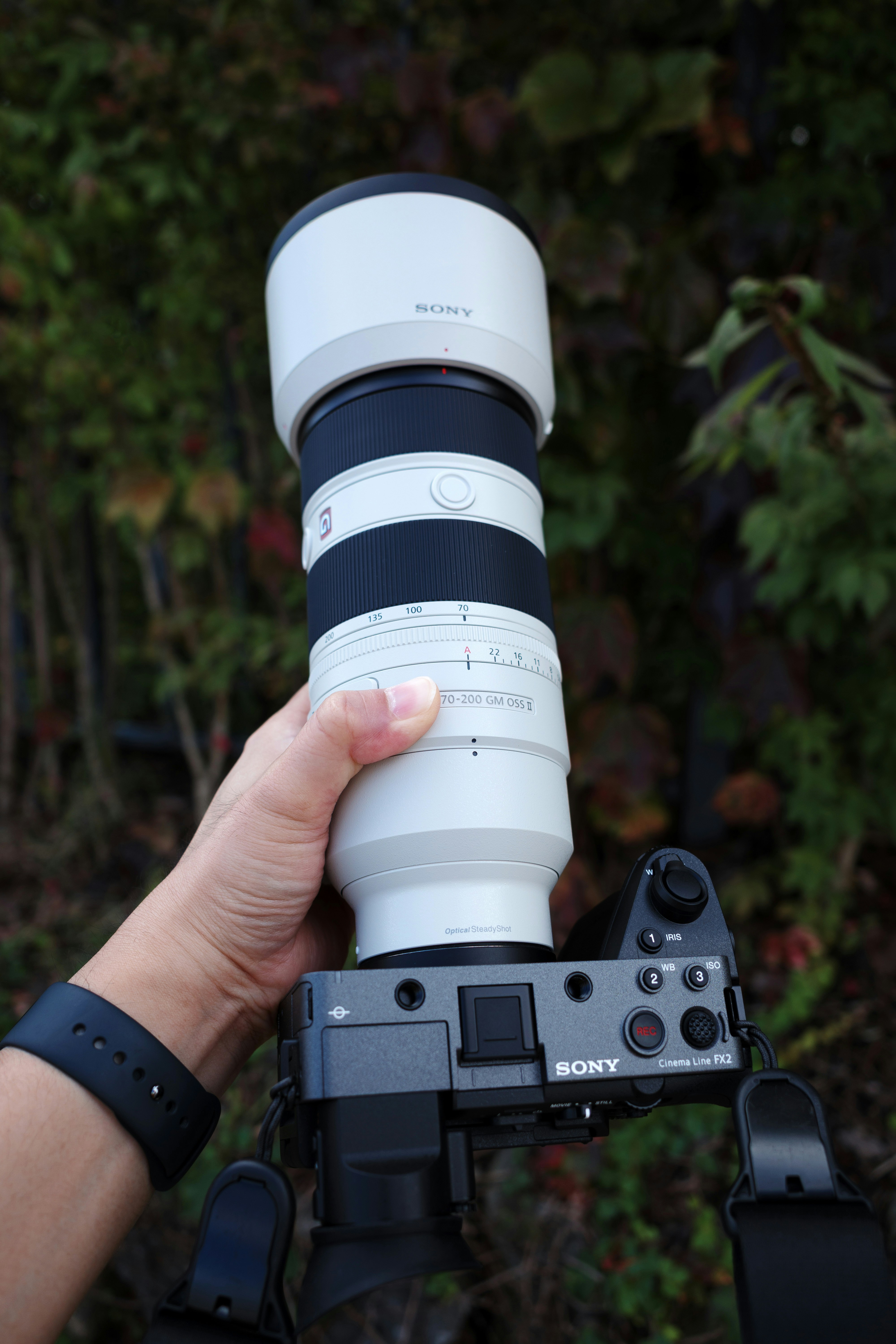The Art of Photography in Hand