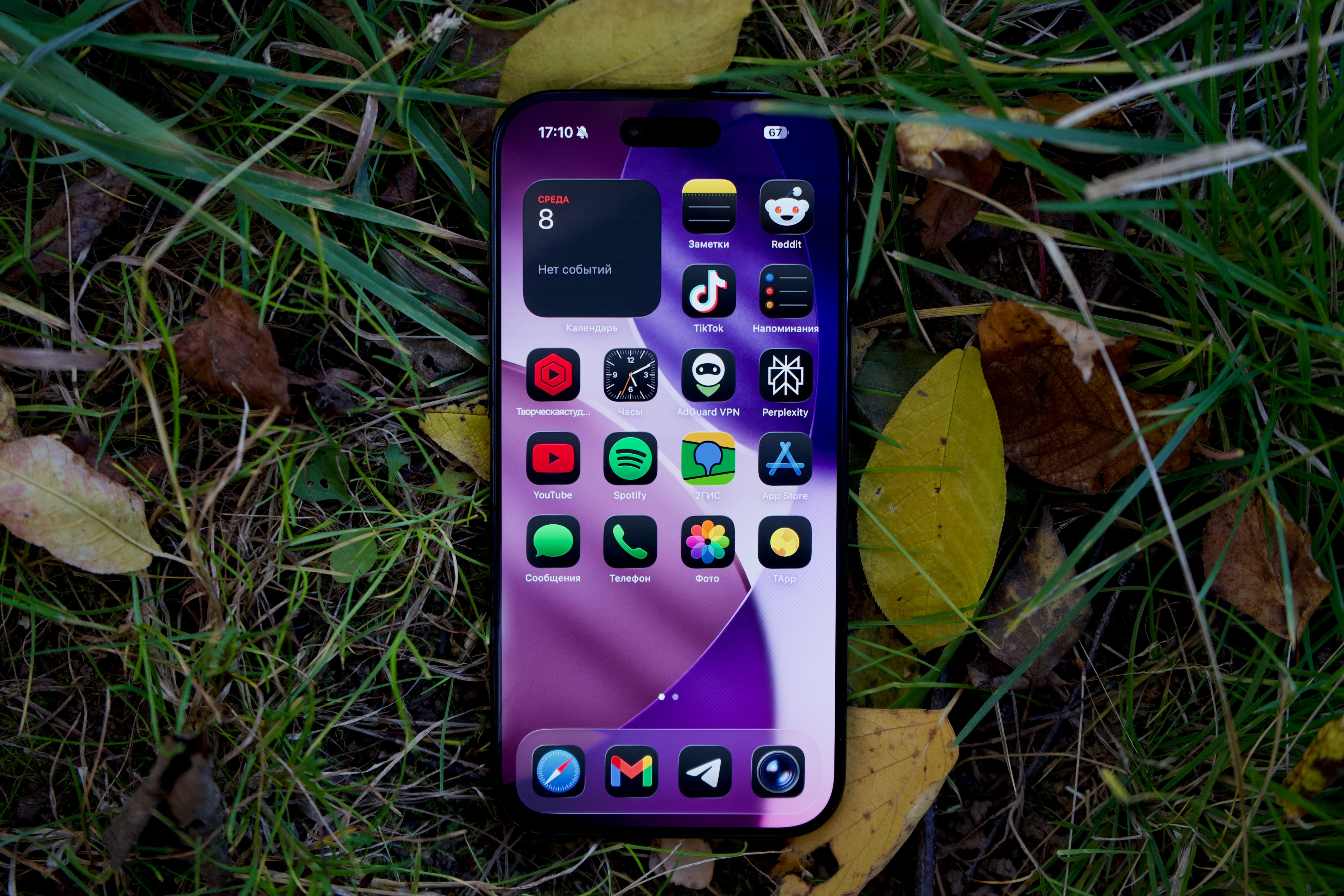 Digital Oasis: A Modern Connection Amidst Nature