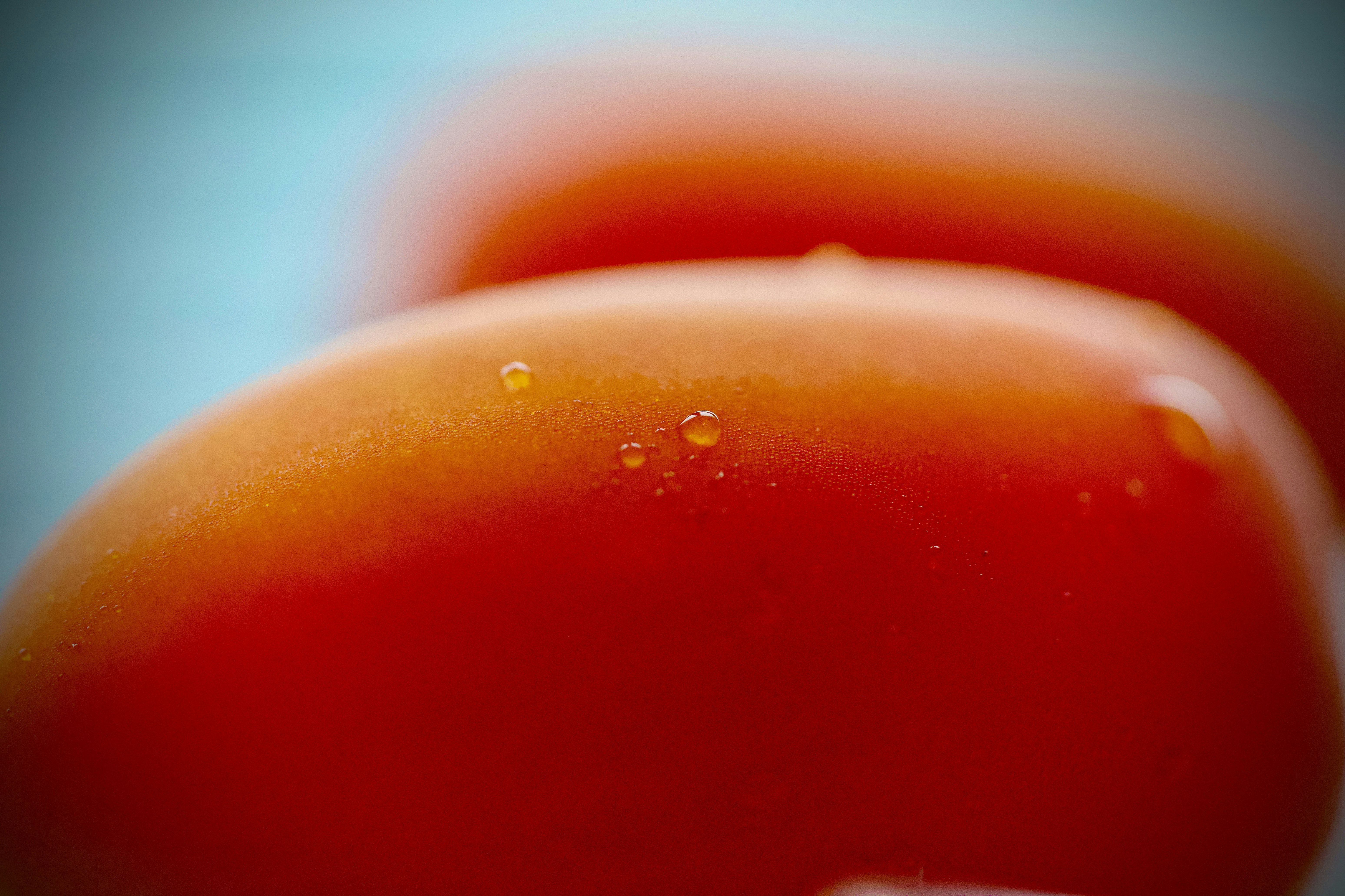 Dew-Kissed Tomato Skin: A Macro Portrait of Gloss and Curve