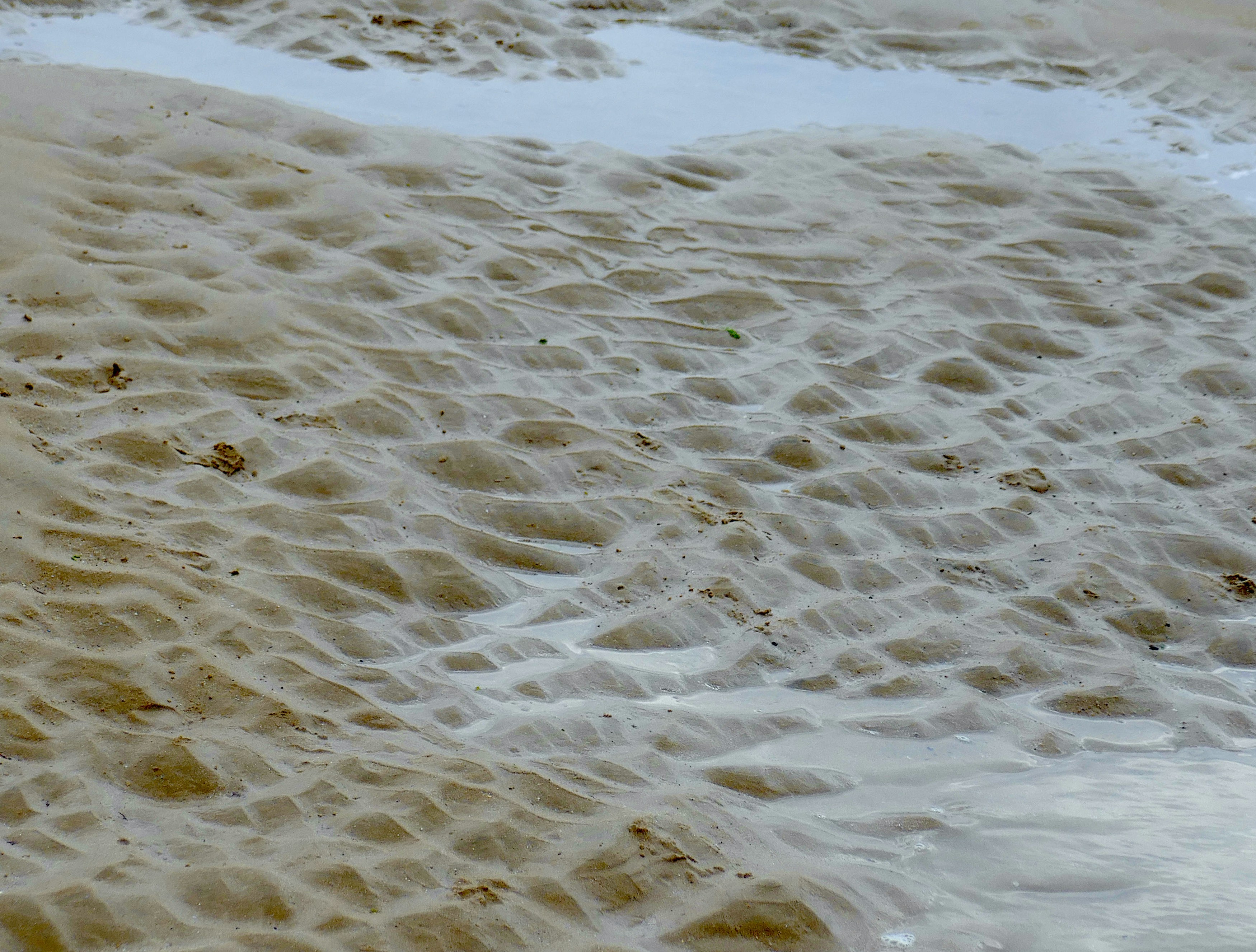 Whispers of the Tidal Shore