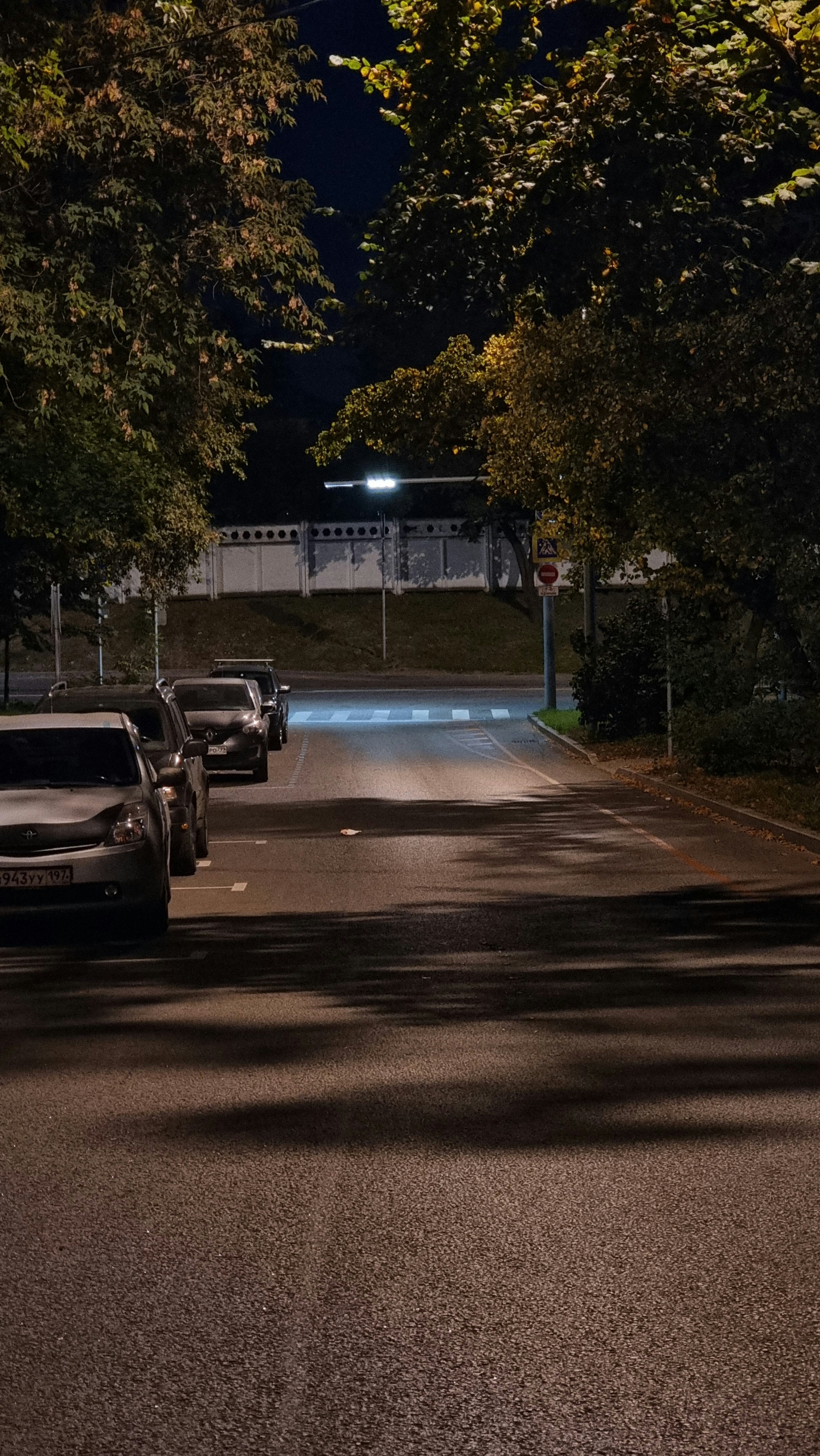 Nocturnal Pathways: A Quiet Urban Journey