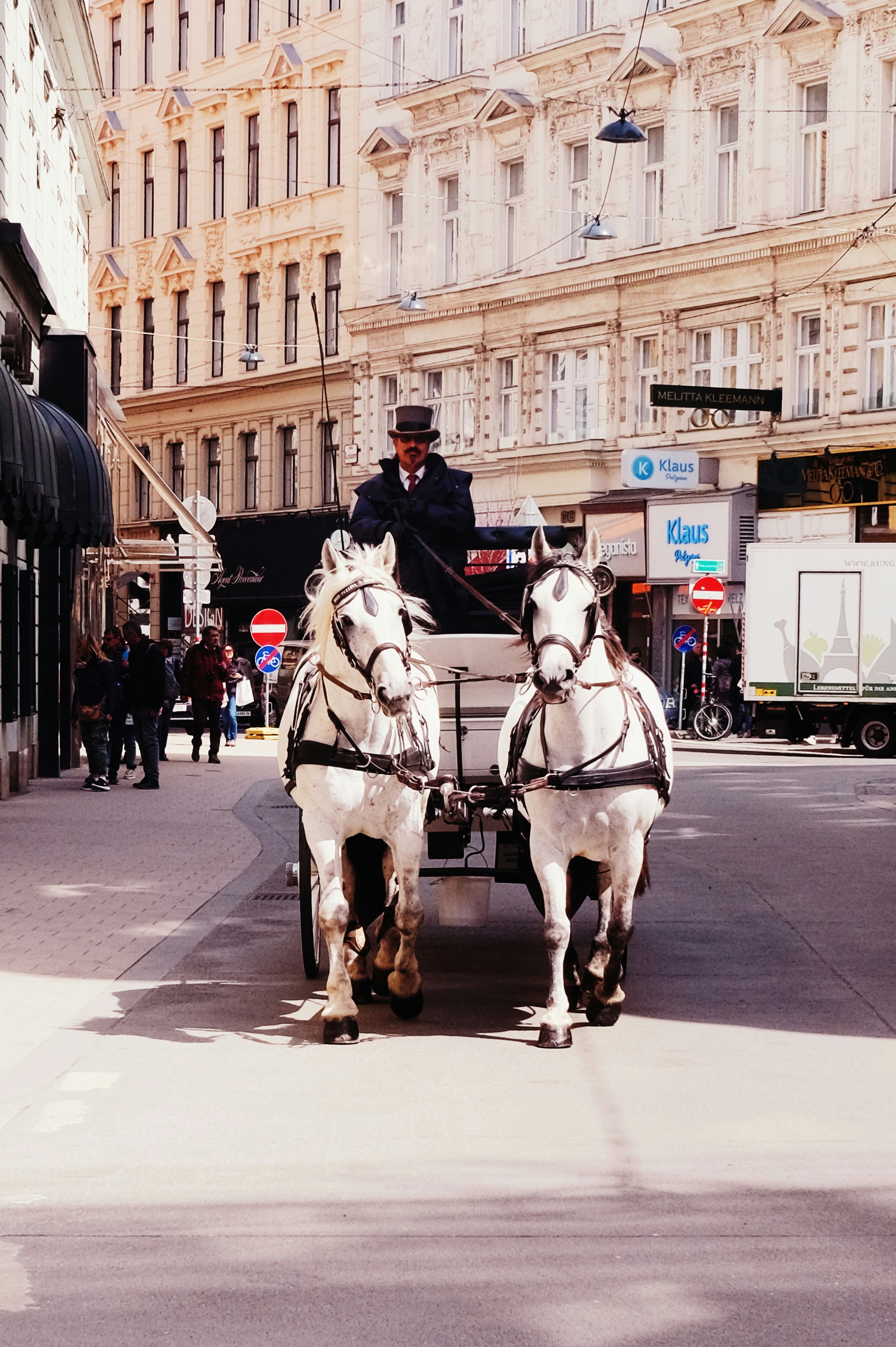 Elegance in Motion: A Carriage Ride Through Historic Streets
