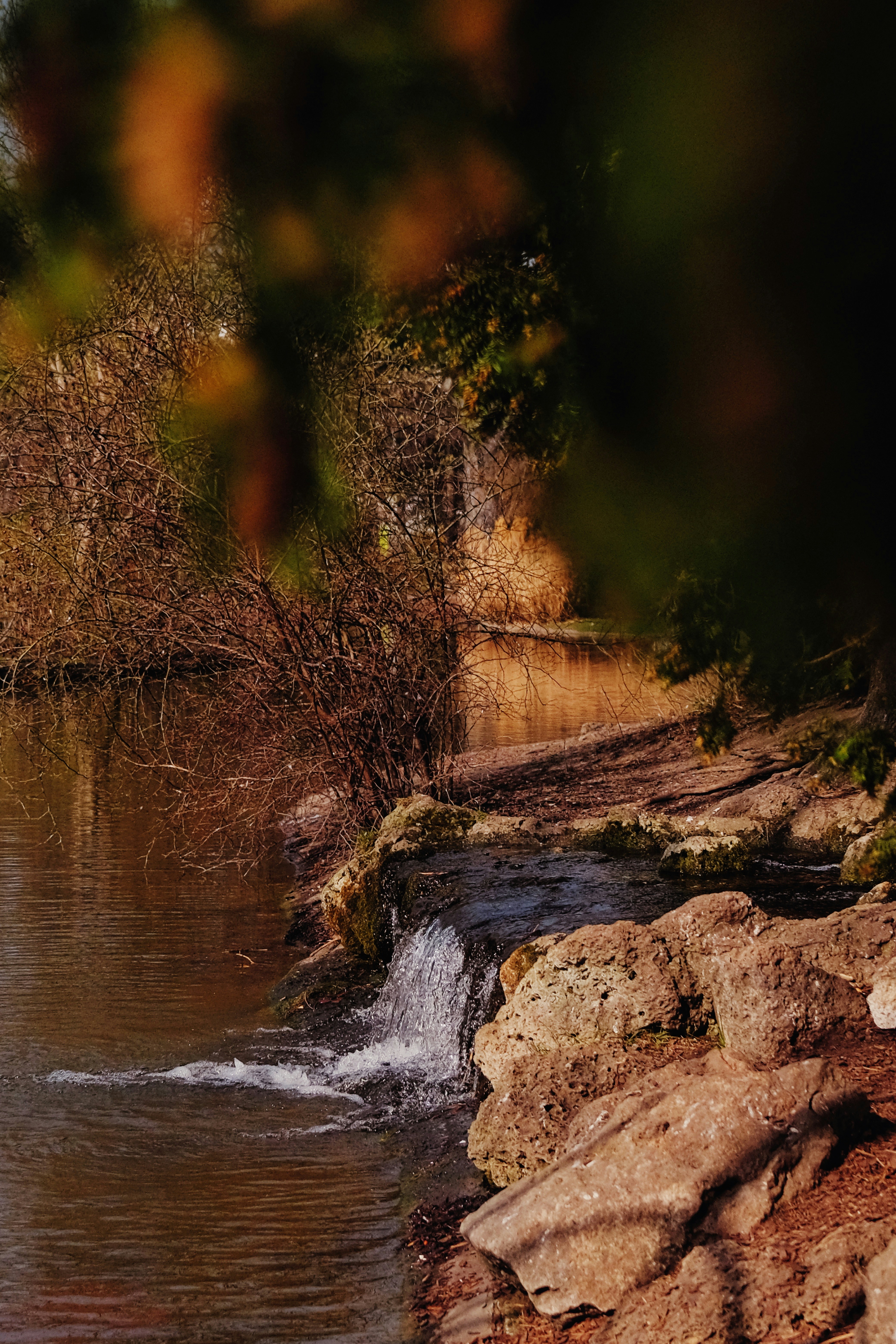 Gentle waterfall cascading over rocks beside a tranquil river, framed by soft foliage. A peaceful moment captured in nature.