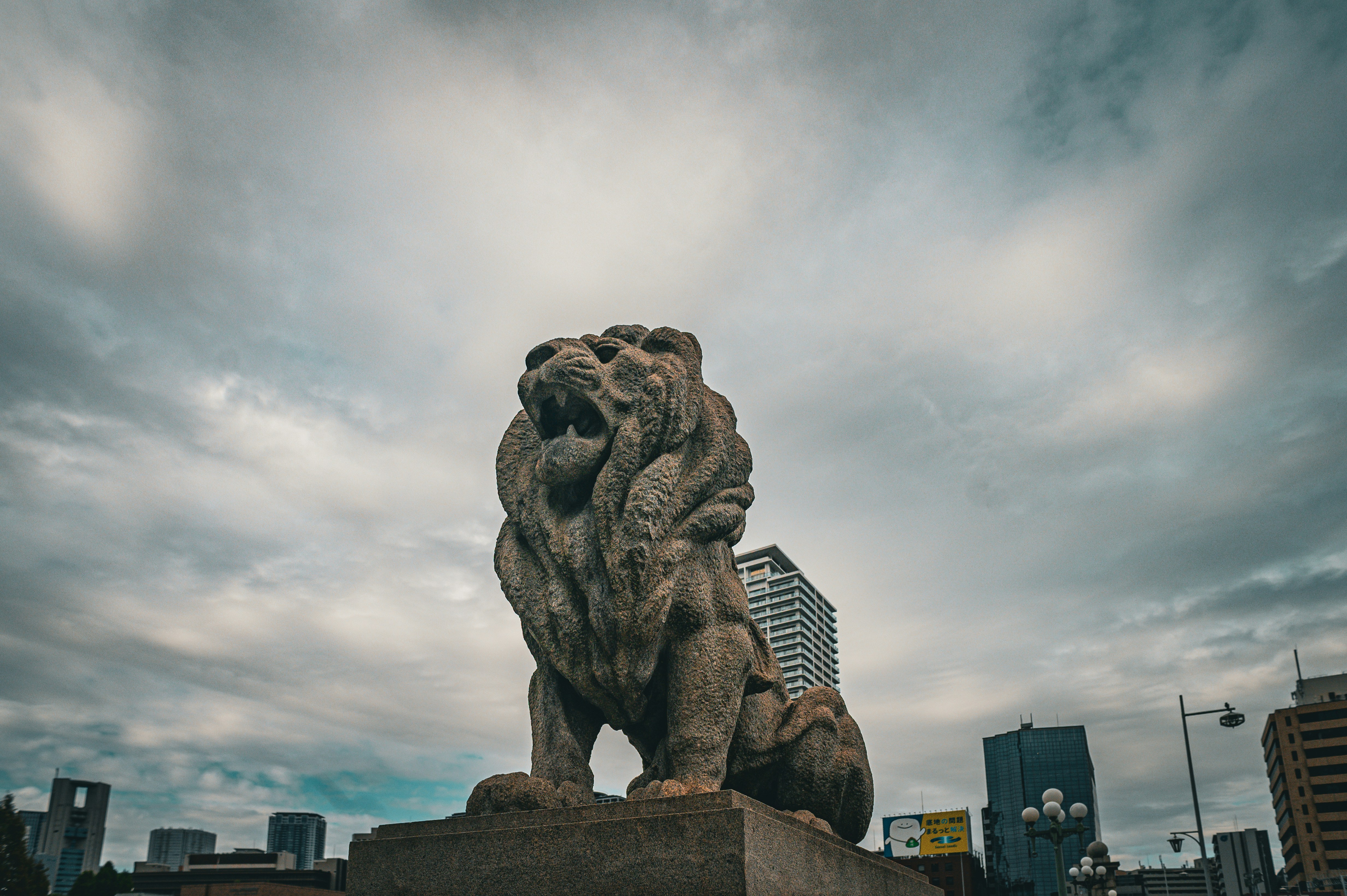 Majestic Sentinel: The Lion of the Urban Jungle