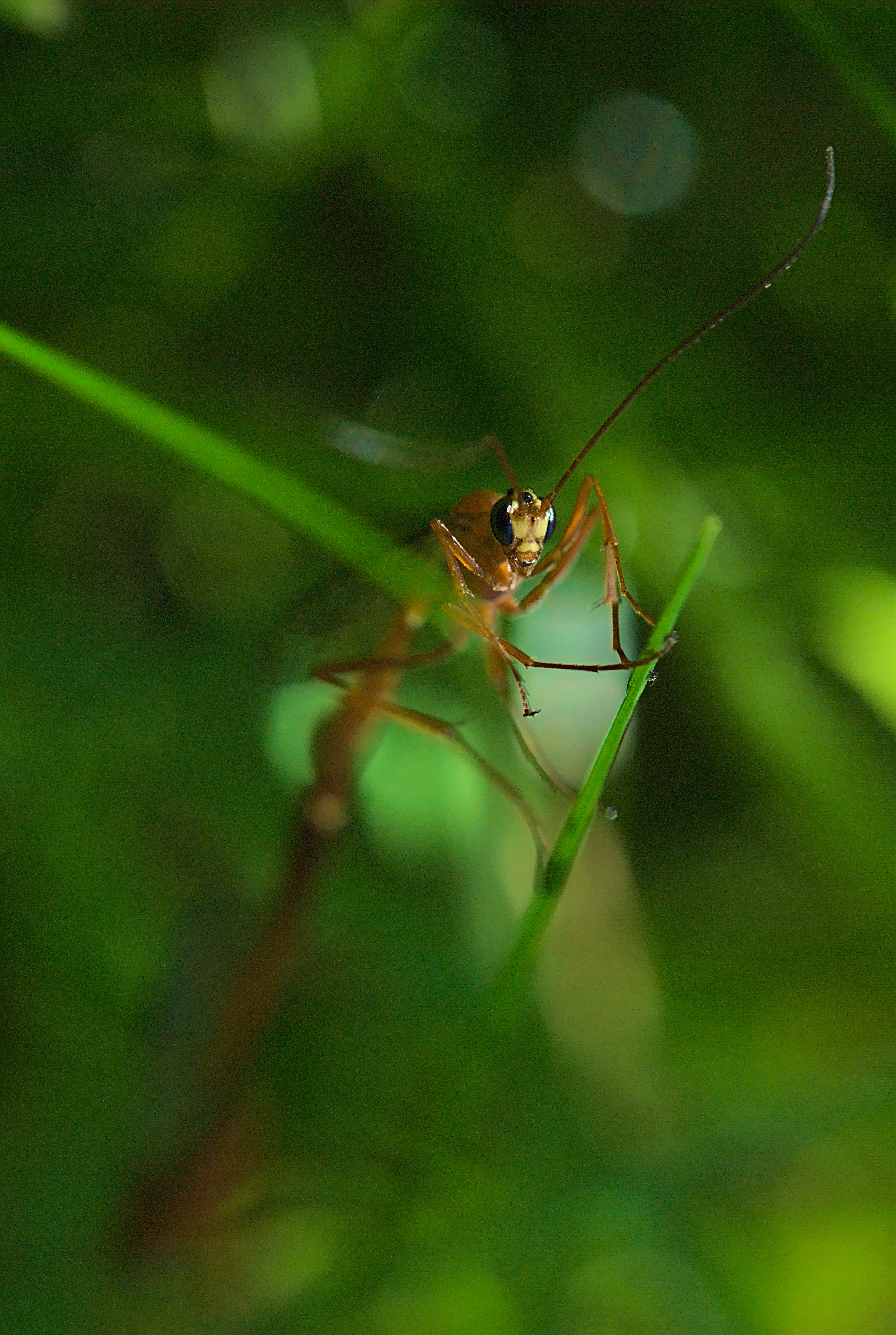 Photo by Matt Johnson with Nikon D200