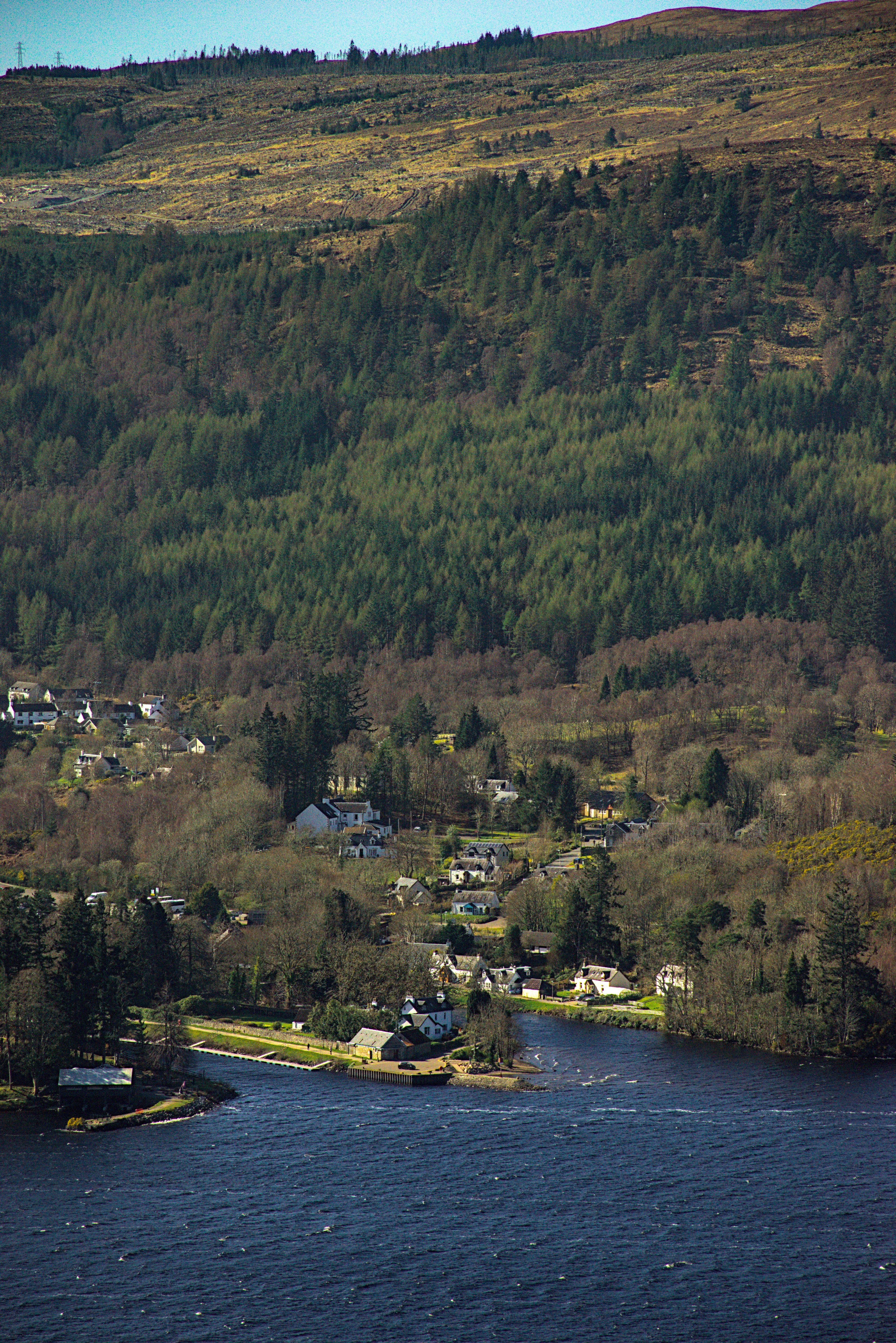 Lakeside Village under Pine-Dusted Slopes