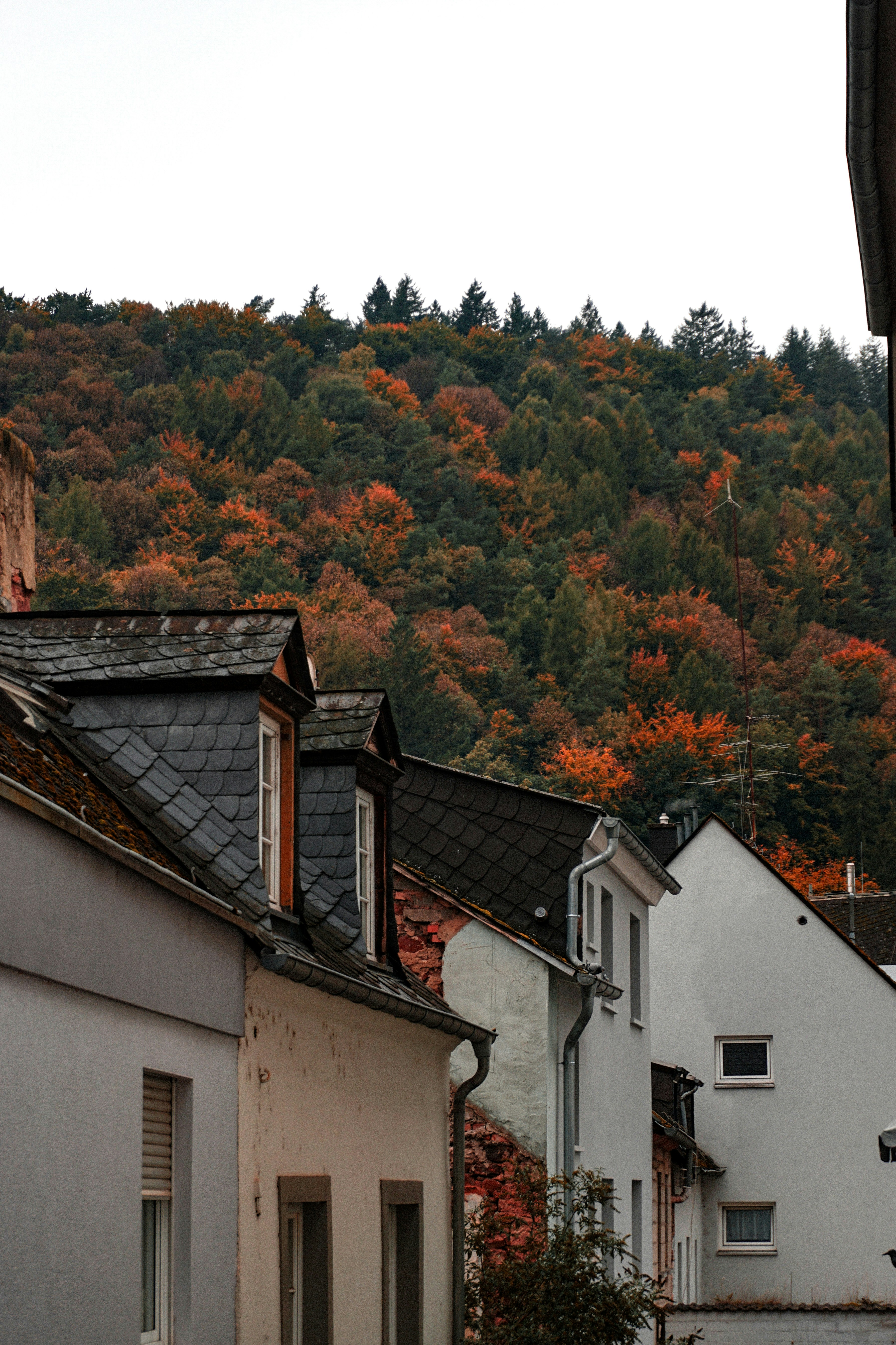 Charming village houses nestled against a backdrop of vibrant autumn foliage on a hillside.