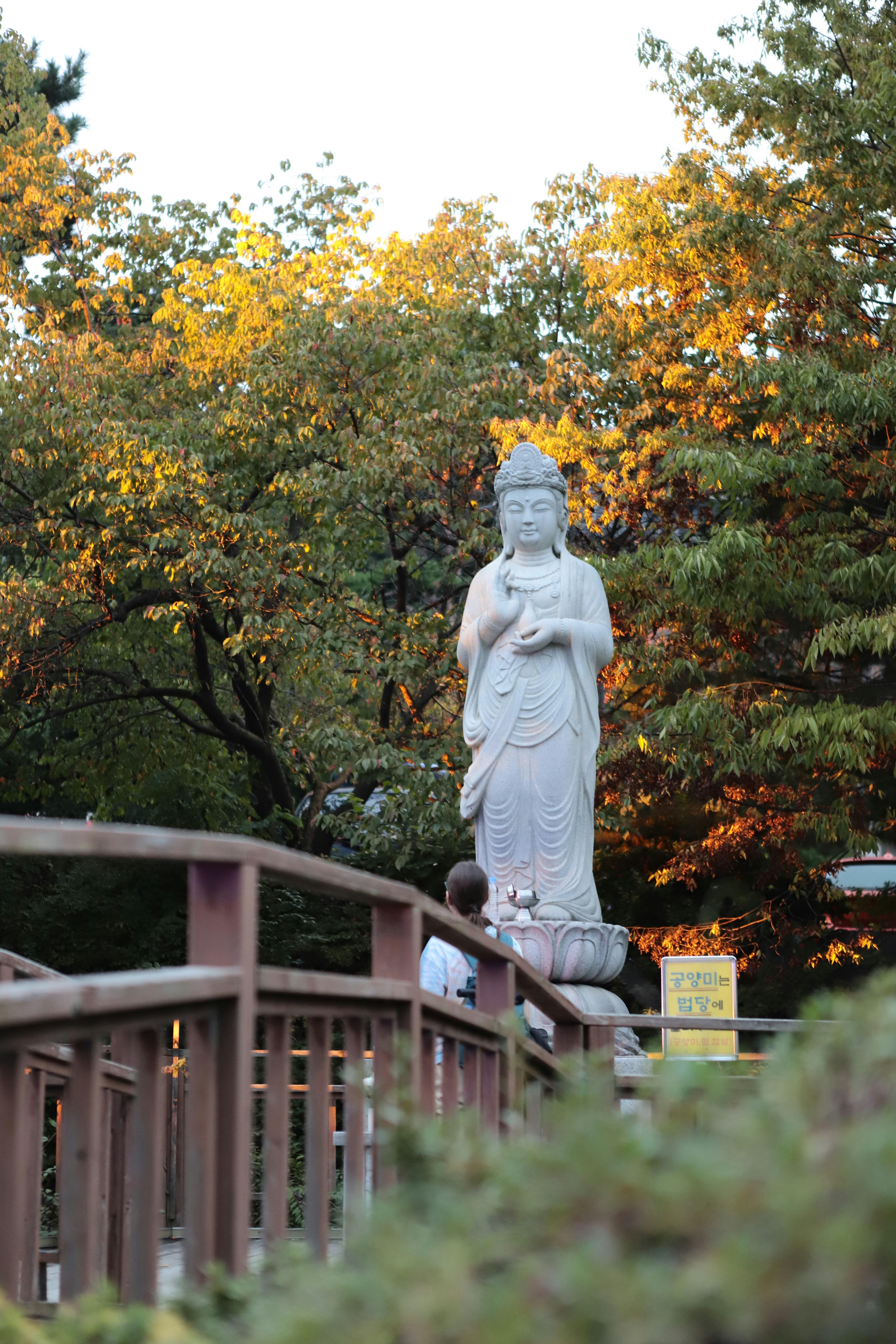 Serenity Amidst Autumn's Embrace