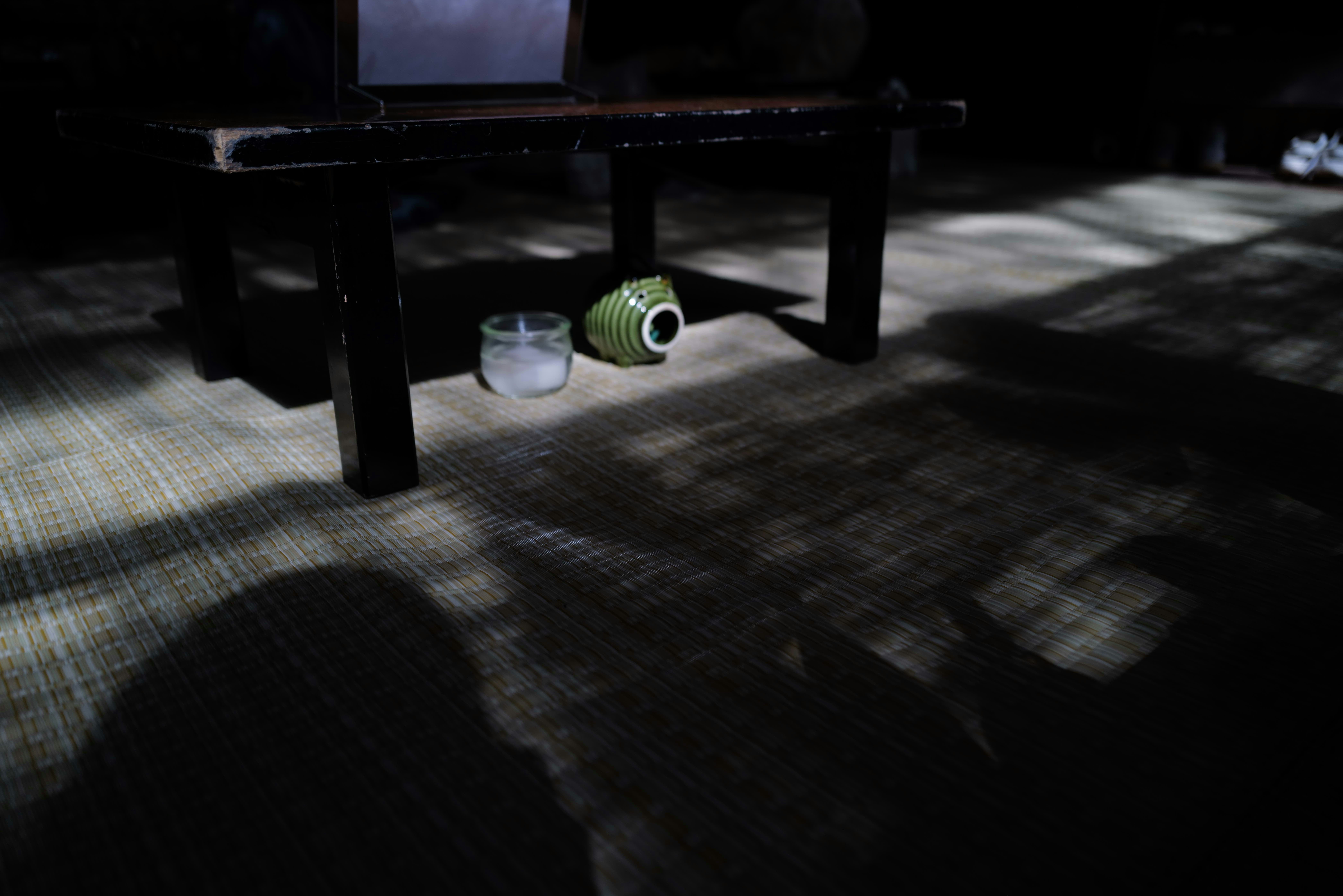 Shadows and Serenity: A Quiet Moment Captured