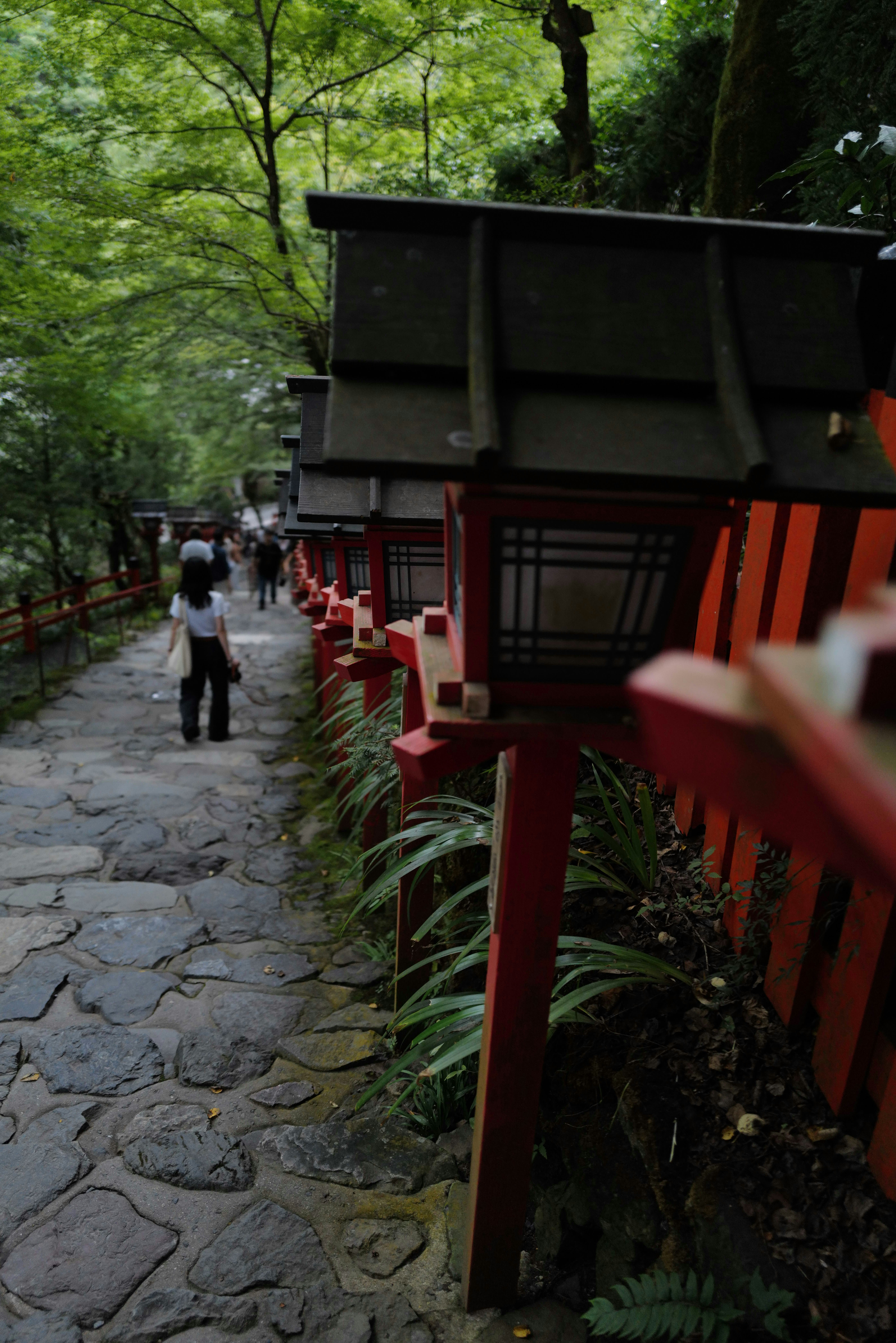 Pathway of Tranquil Lanterns