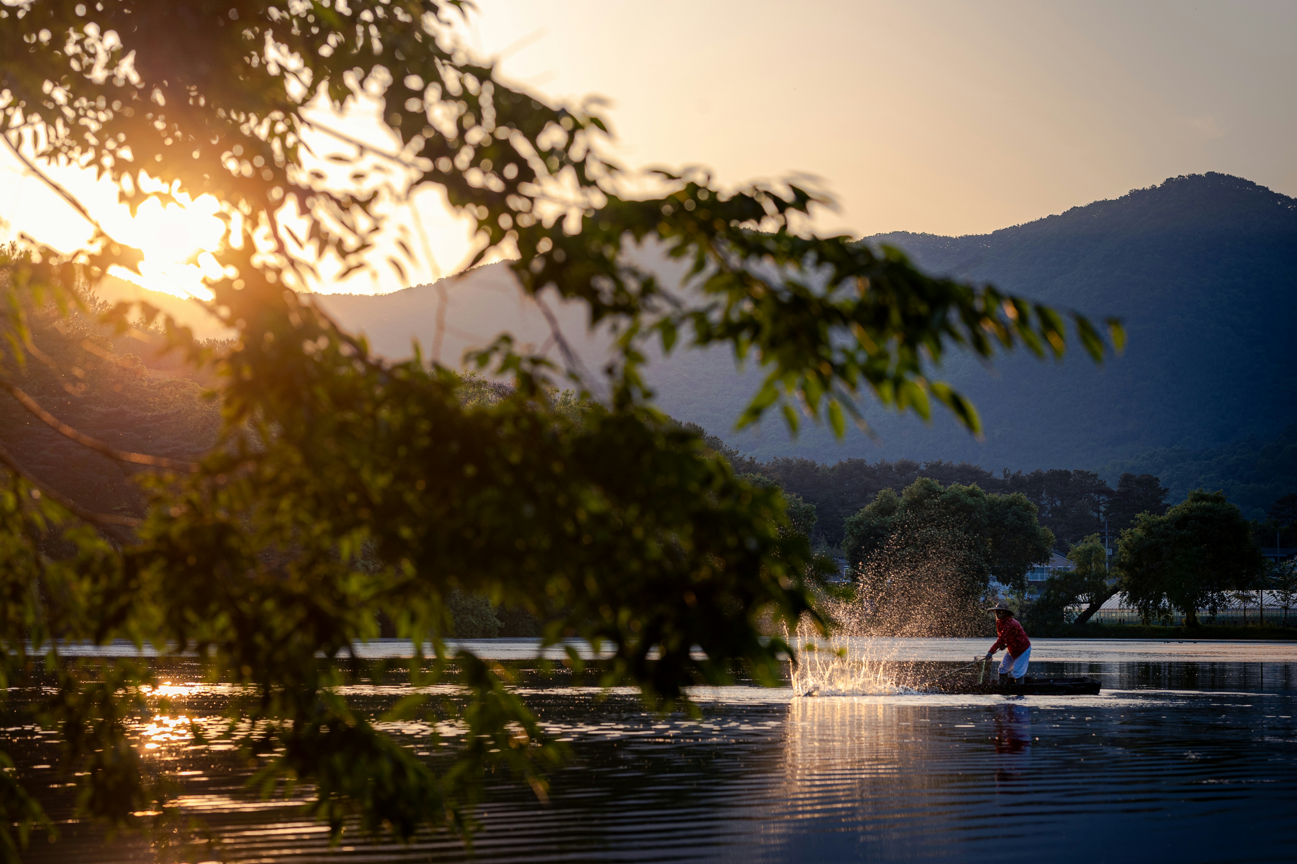 Dusk at Lake Willow: A Figure and a Fountain in Golden Ripples