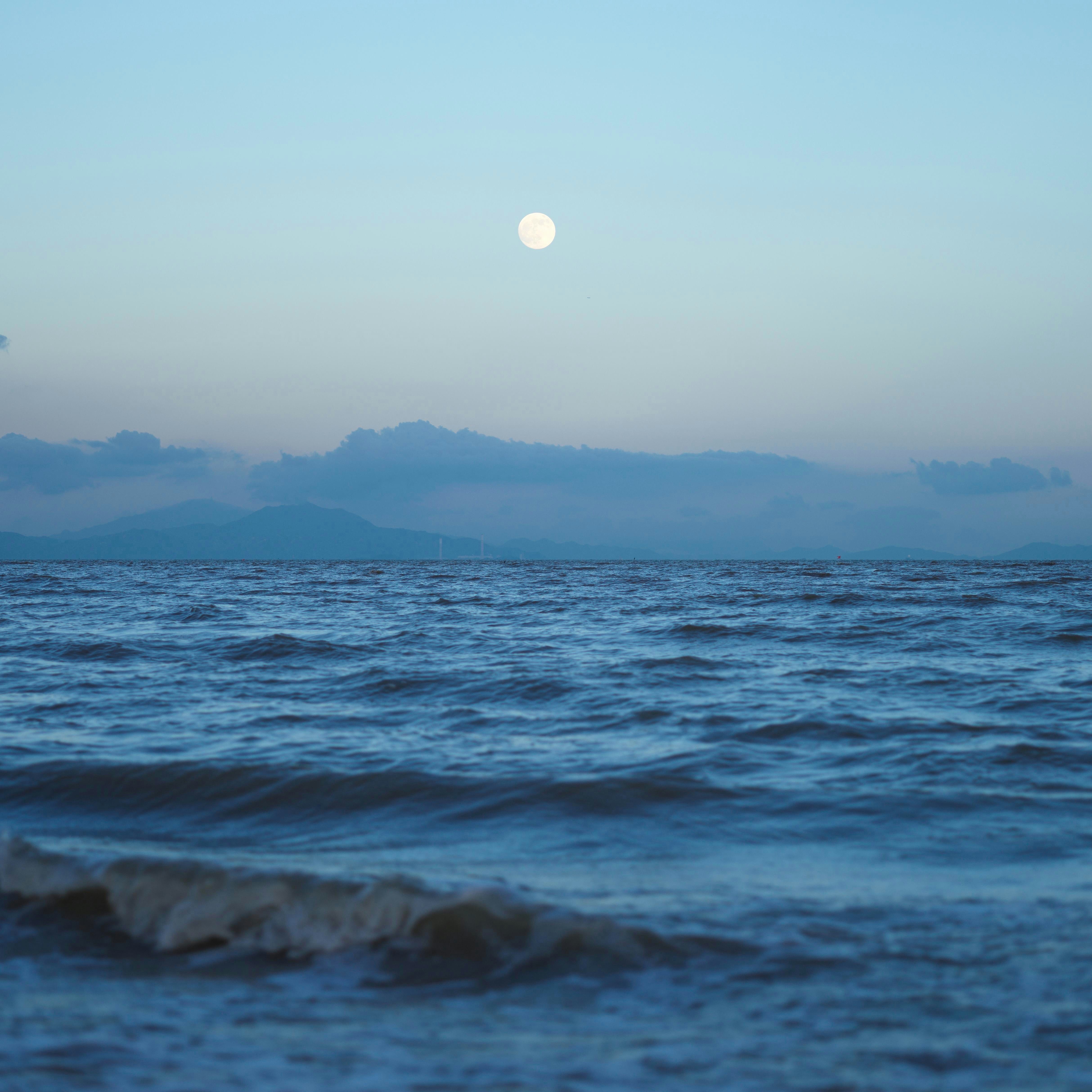 Whispers of the Moonlit Sea