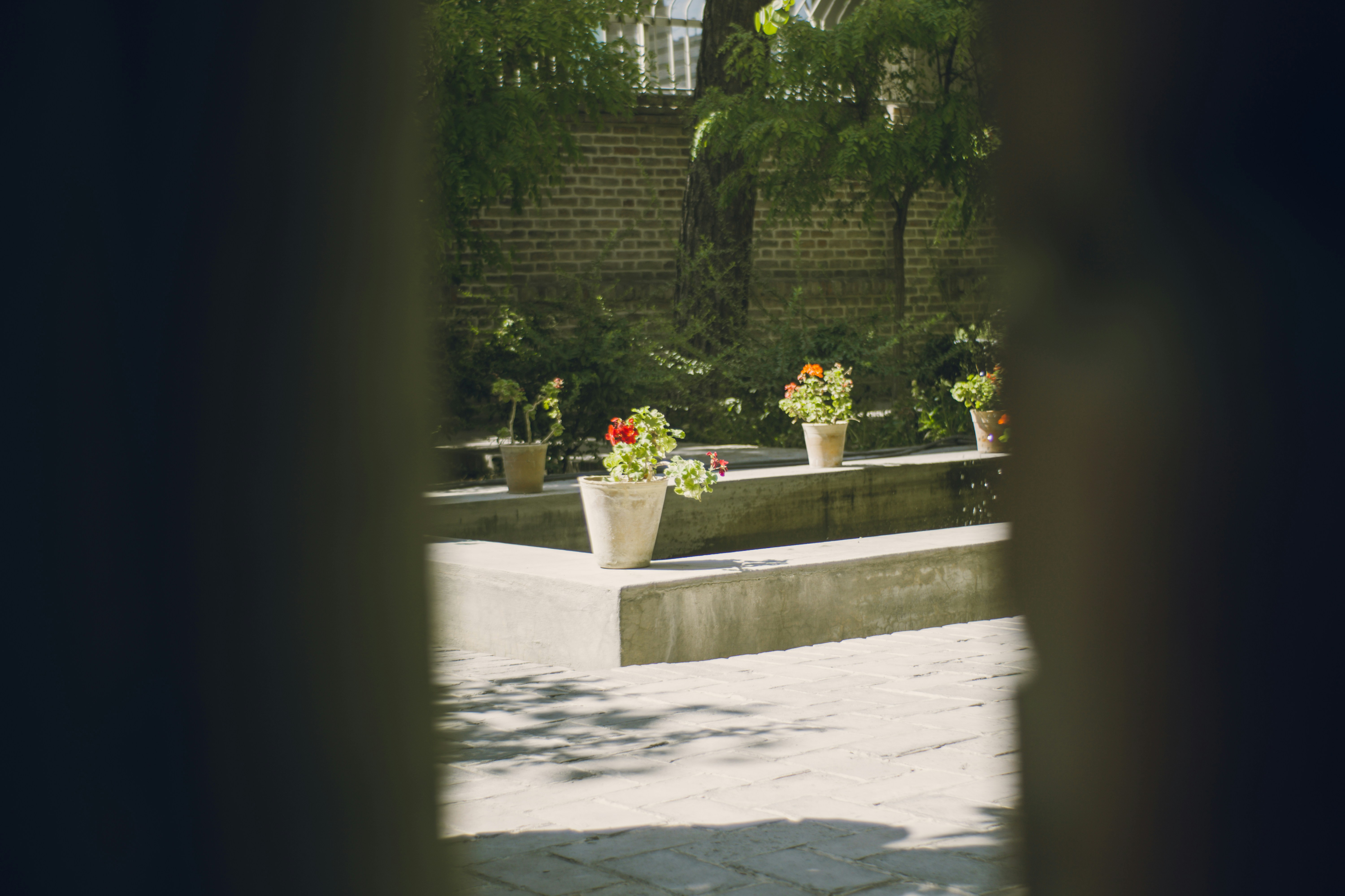 Through a Narrow Frame: Sunlit Terrace of Flower Pots on Stone Steps