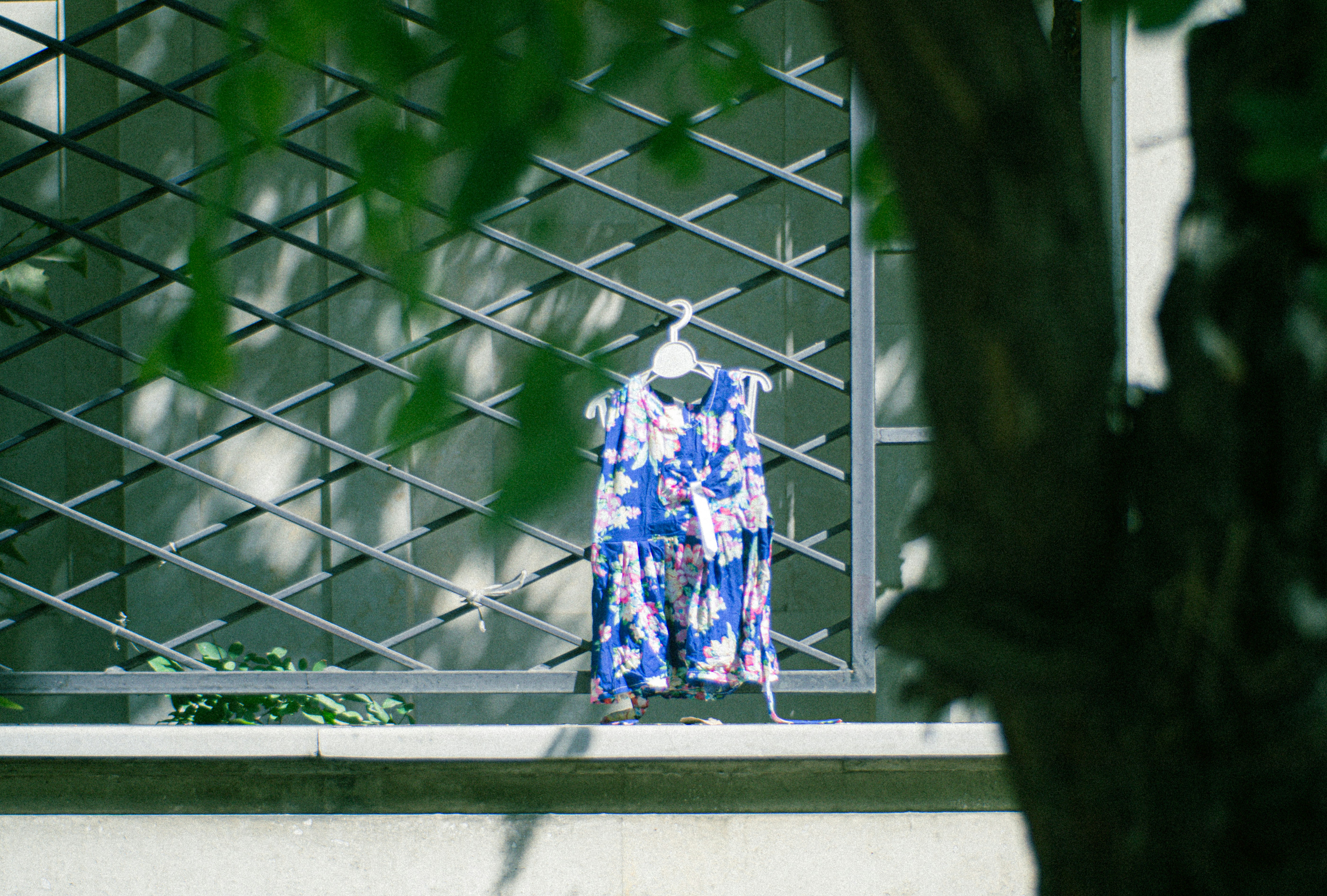 Floral Elegance in Urban Serenity