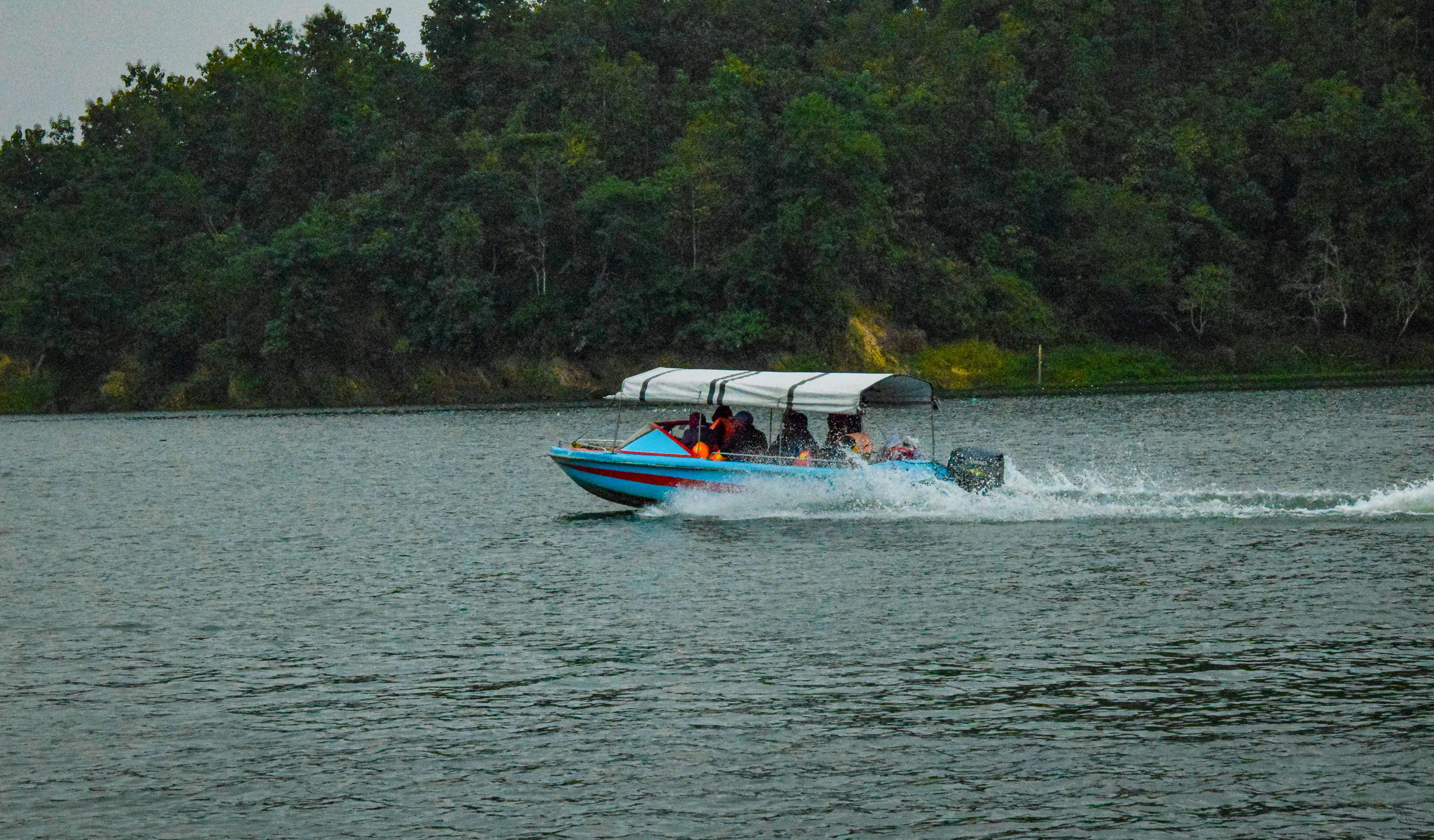 A speedboat glides across a serene lake, creating splashes as it cuts through the calm water. Lush greenery lines the shore, enhancing the peaceful backdrop.