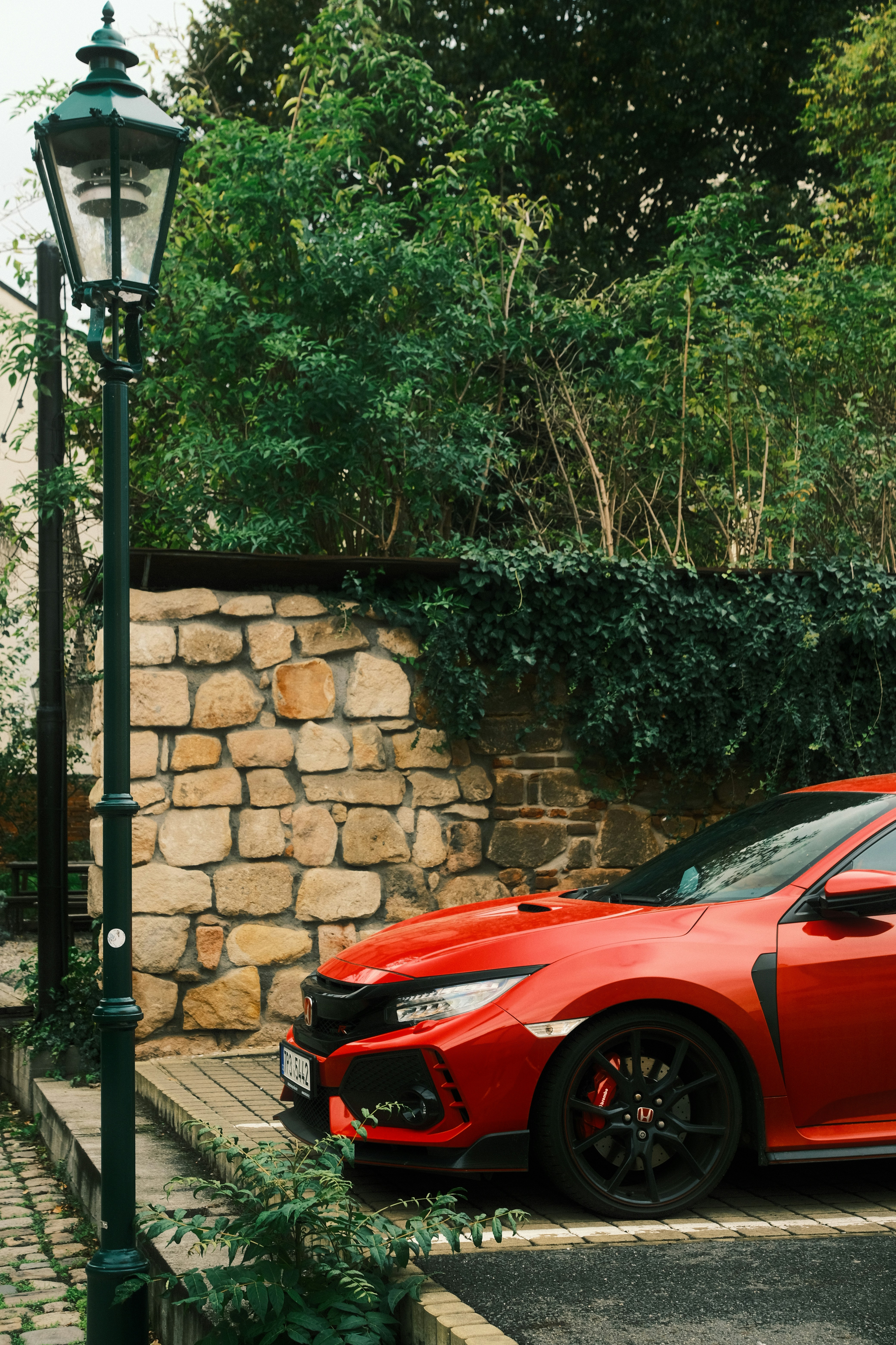 Urban Elegance: The Red Racer Amidst Nature