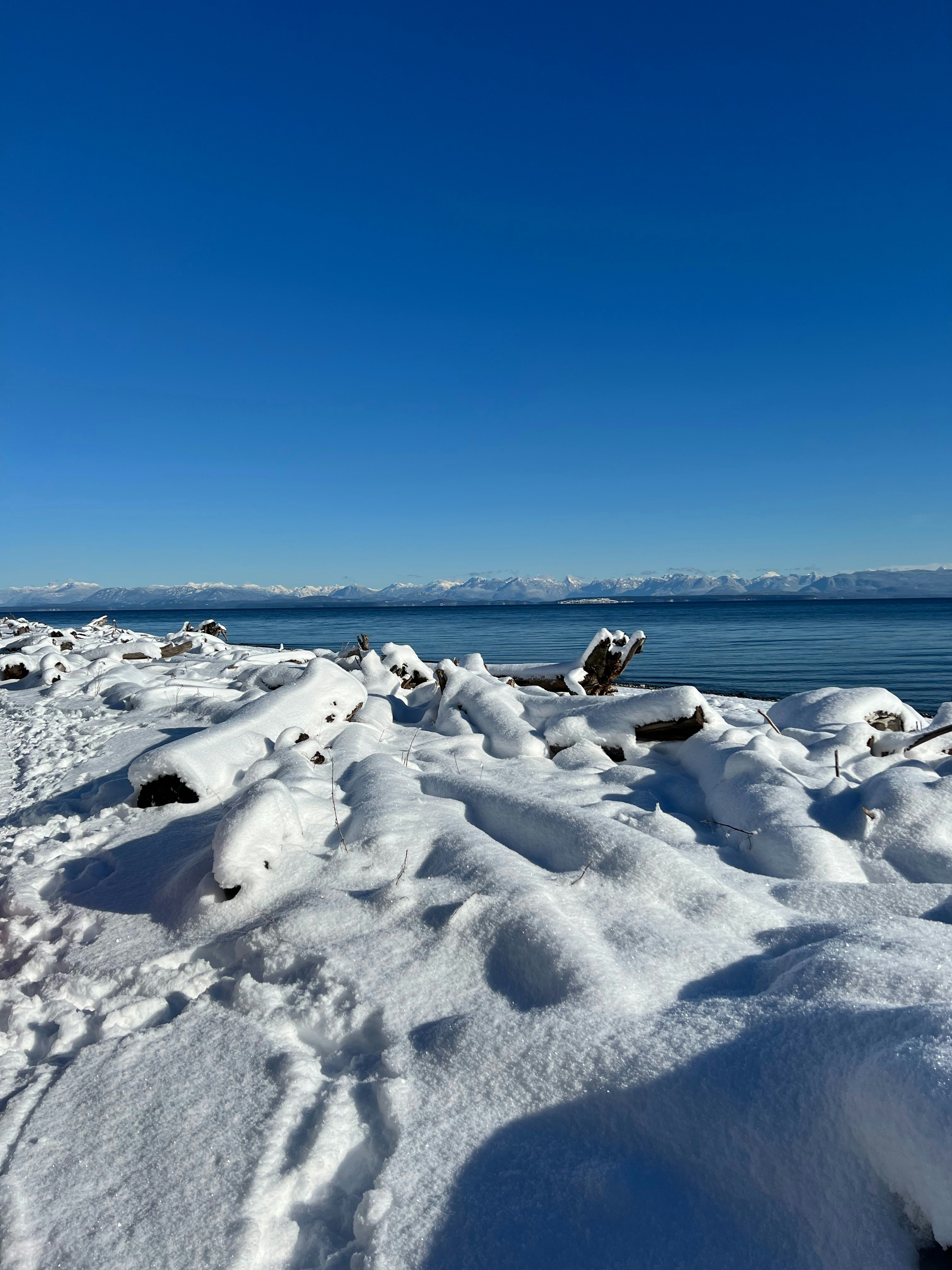 Snow-covered logs on a beach with calm ocean.
