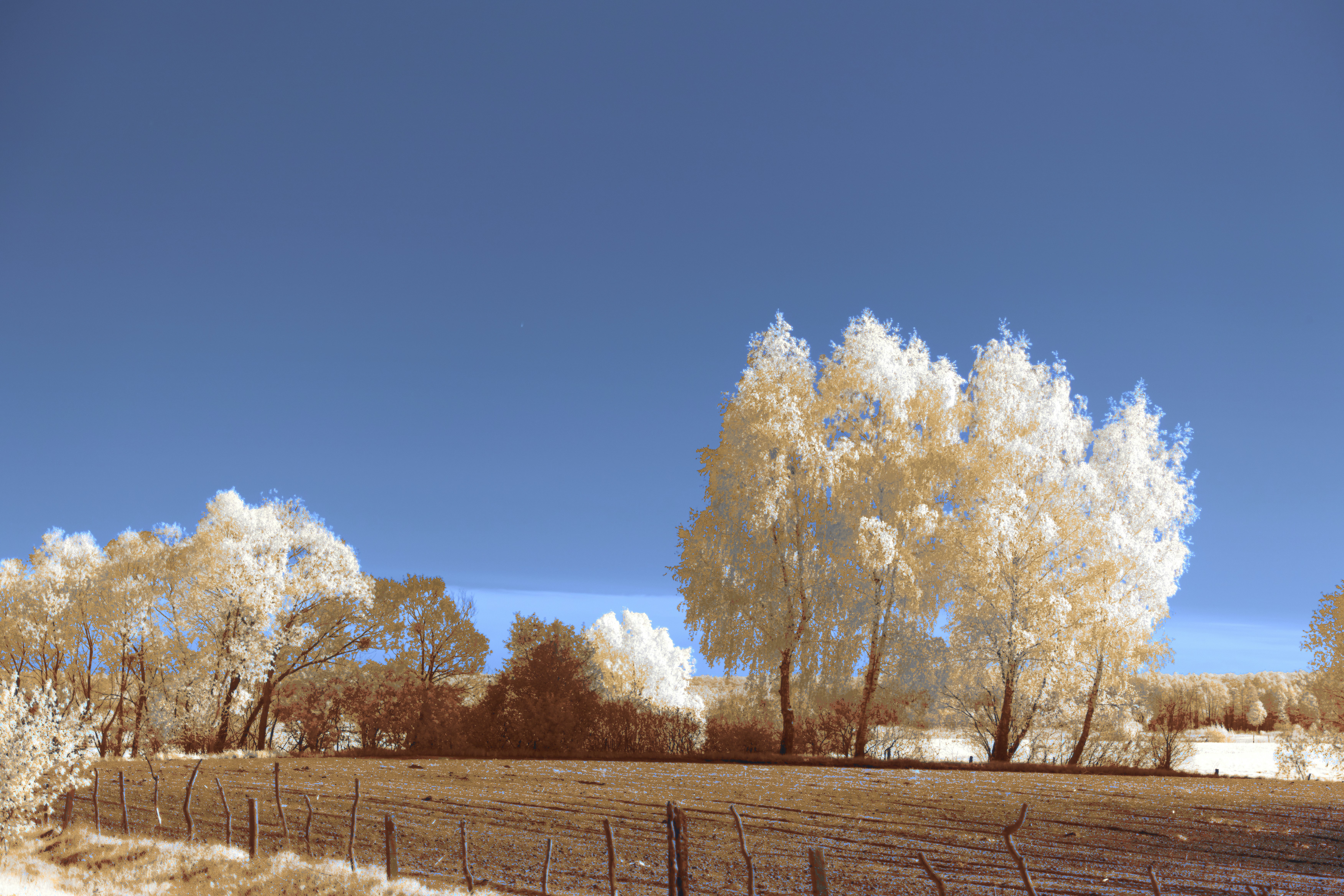 Whispers of the Infrared Landscape