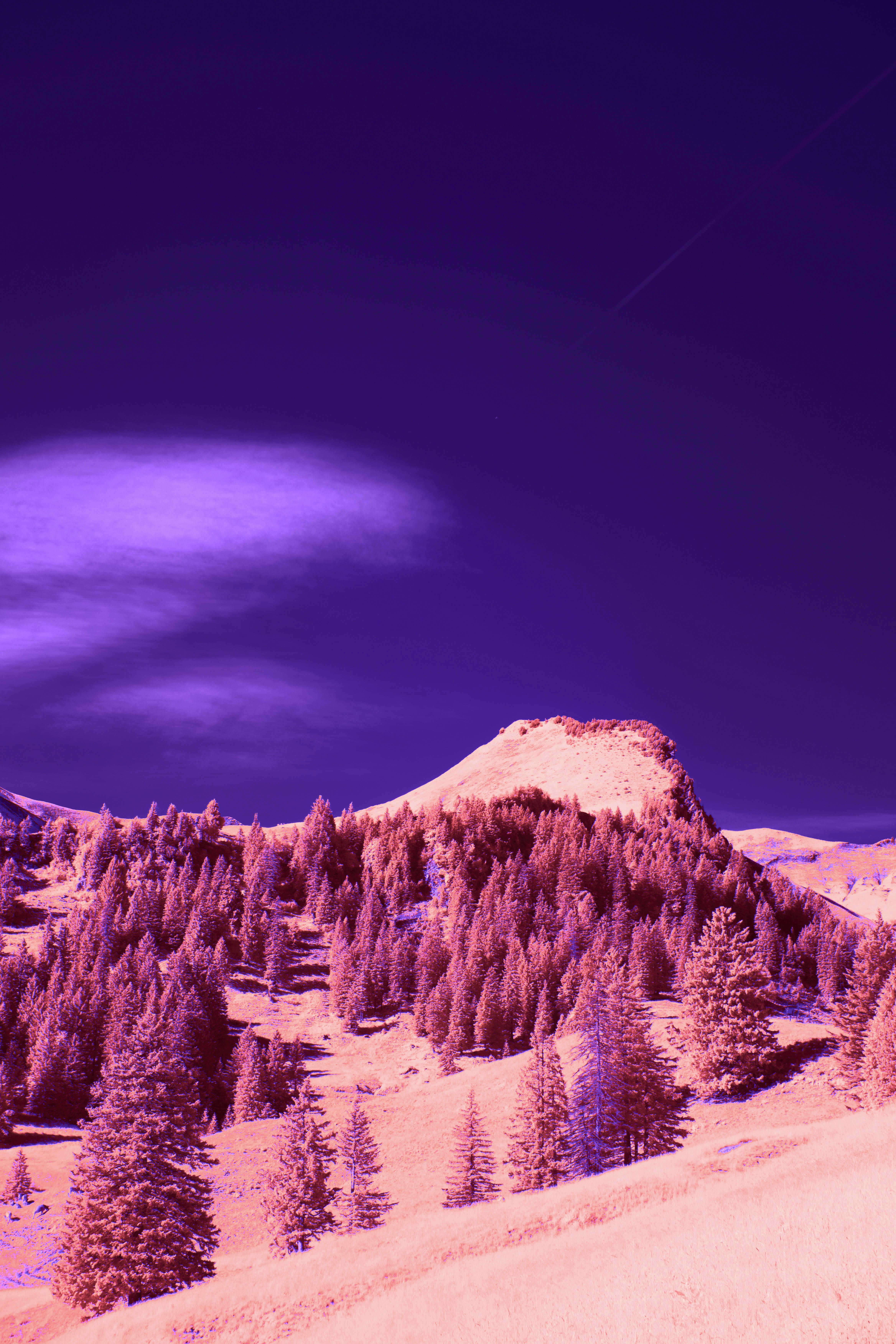 Purple forest and mountain landscape under dark sky