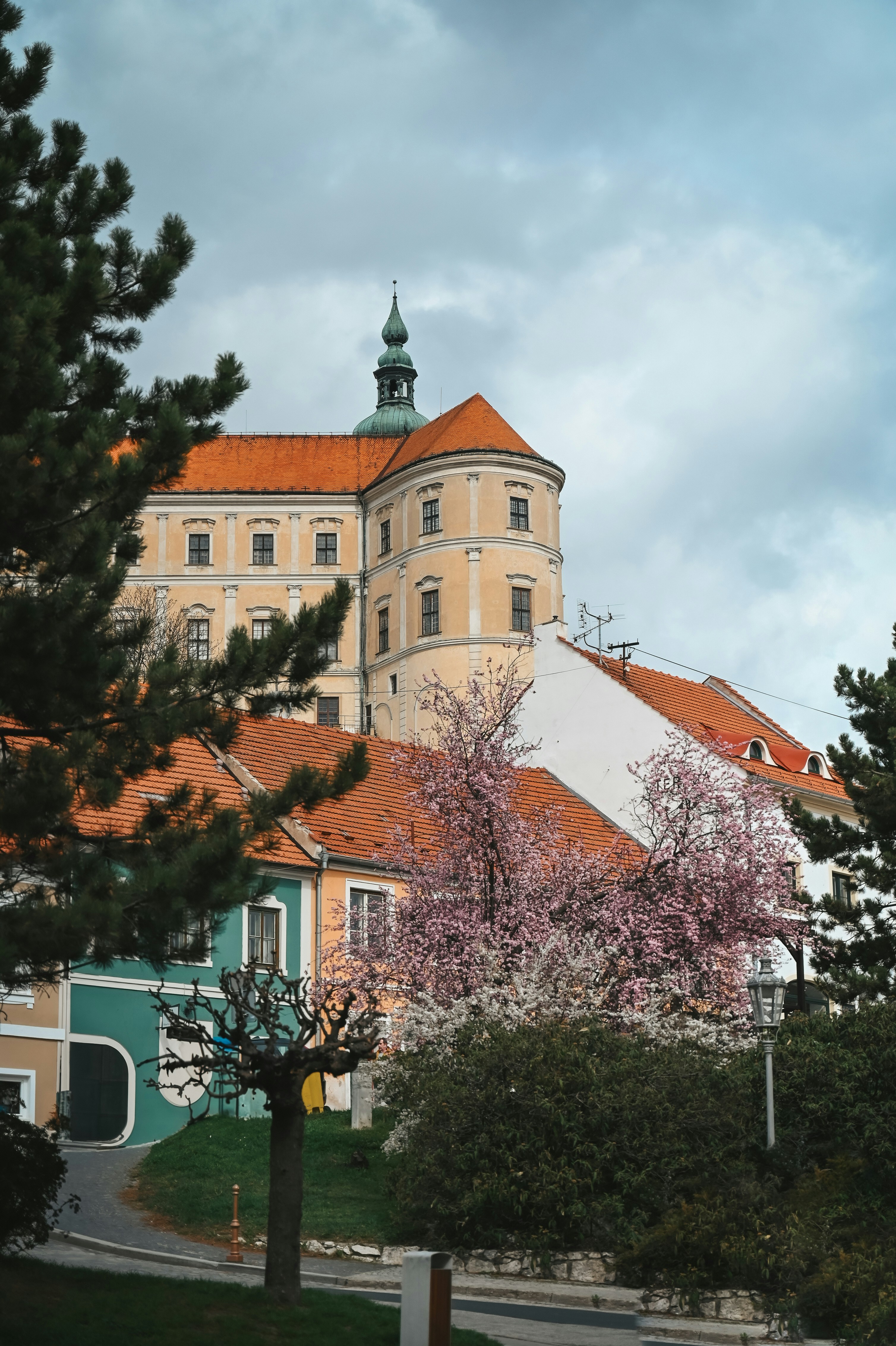 Whispers of History Amidst Blossoms