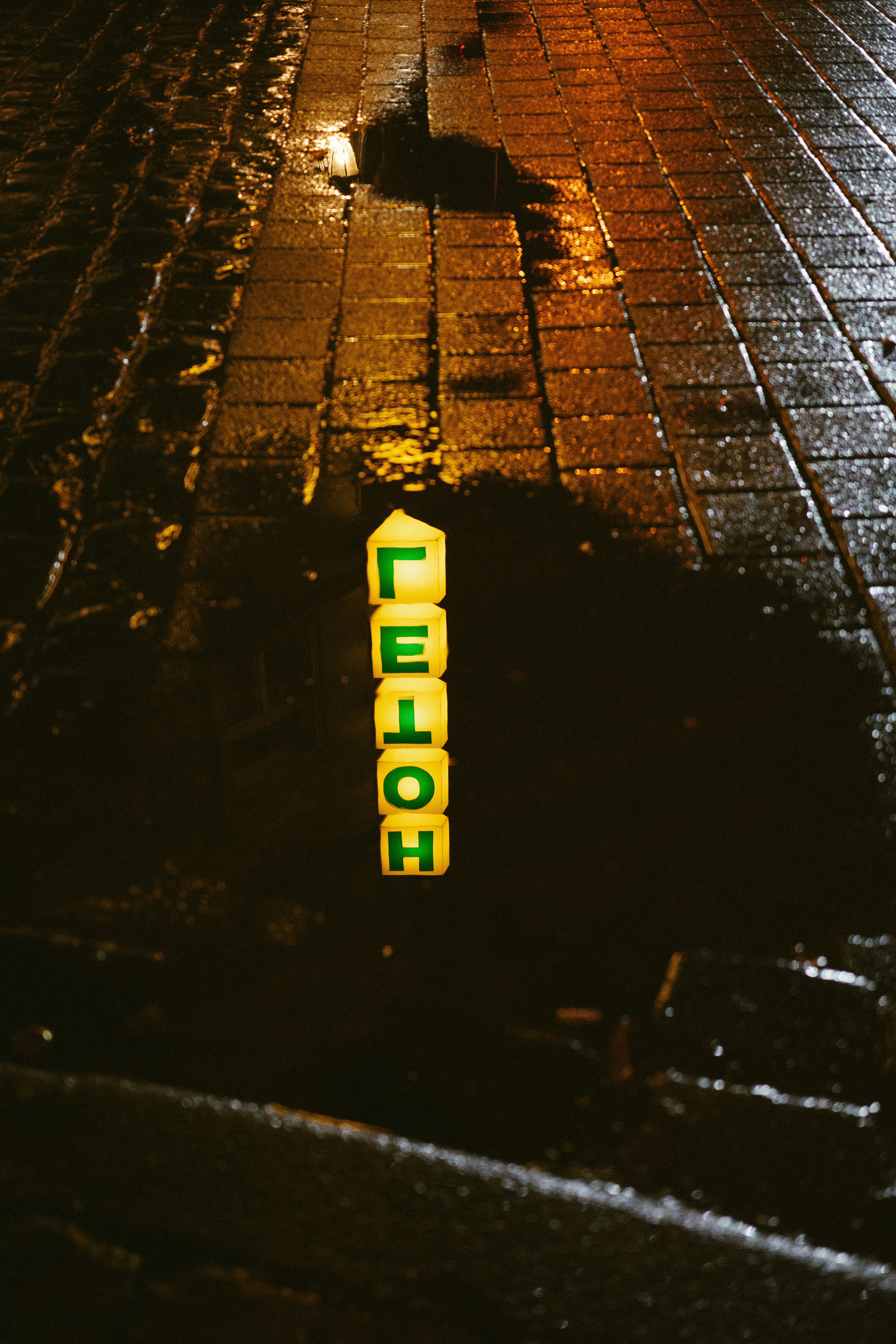 Reflections of a Neon Night