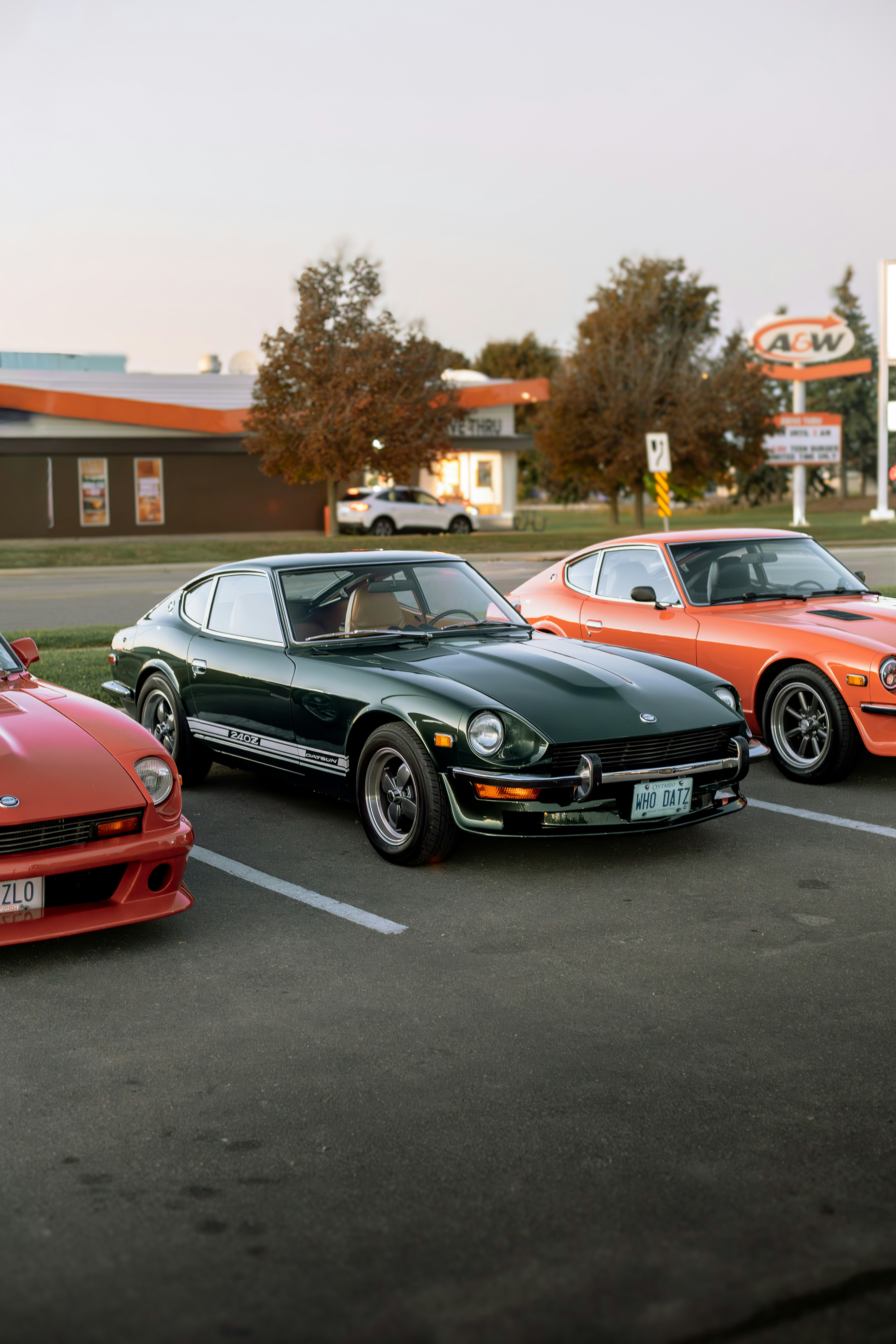 Classic Car Gathering: A Tribute to Timeless Design