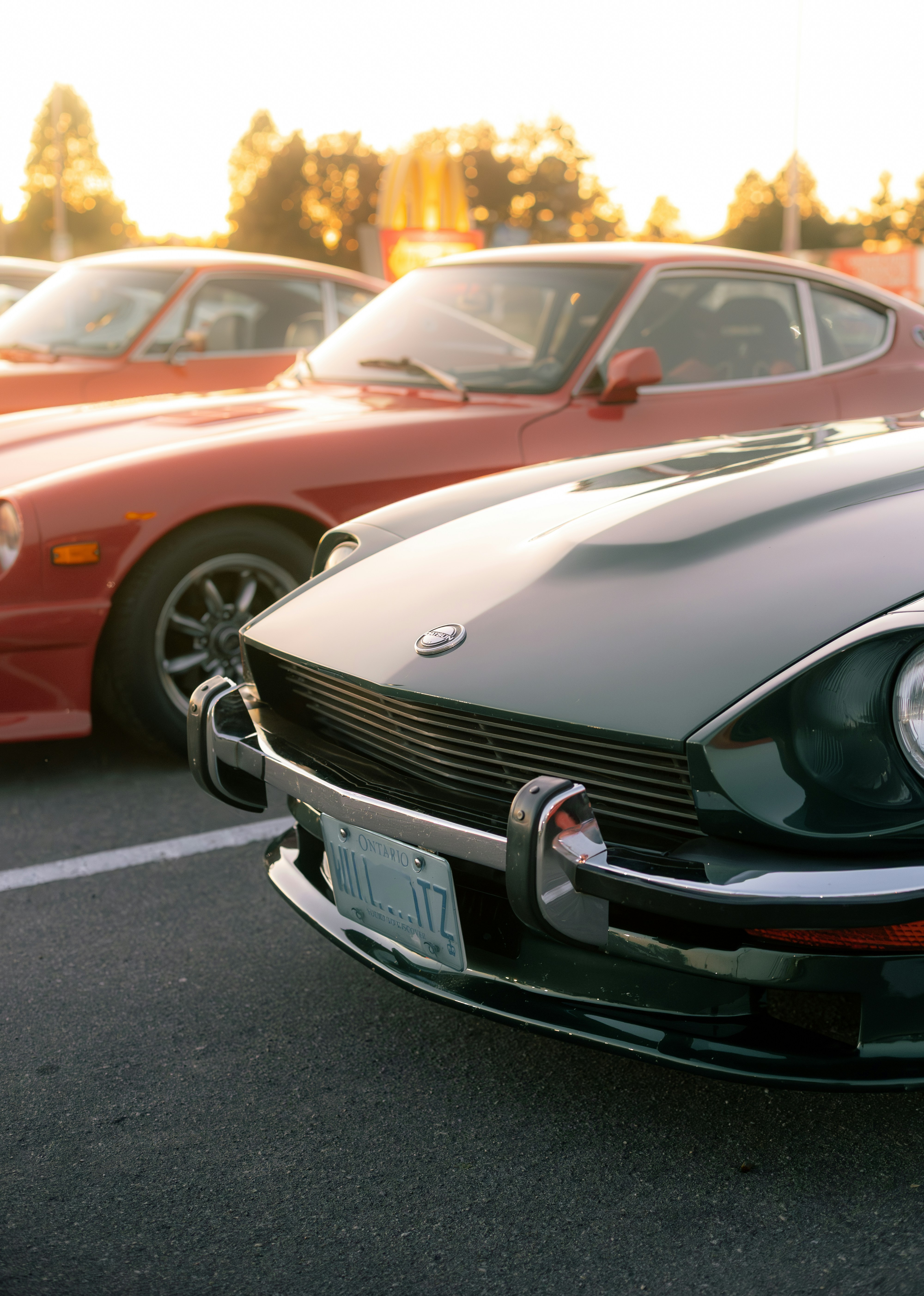 Classic Lines: A Tribute to Timeless Automotive Design