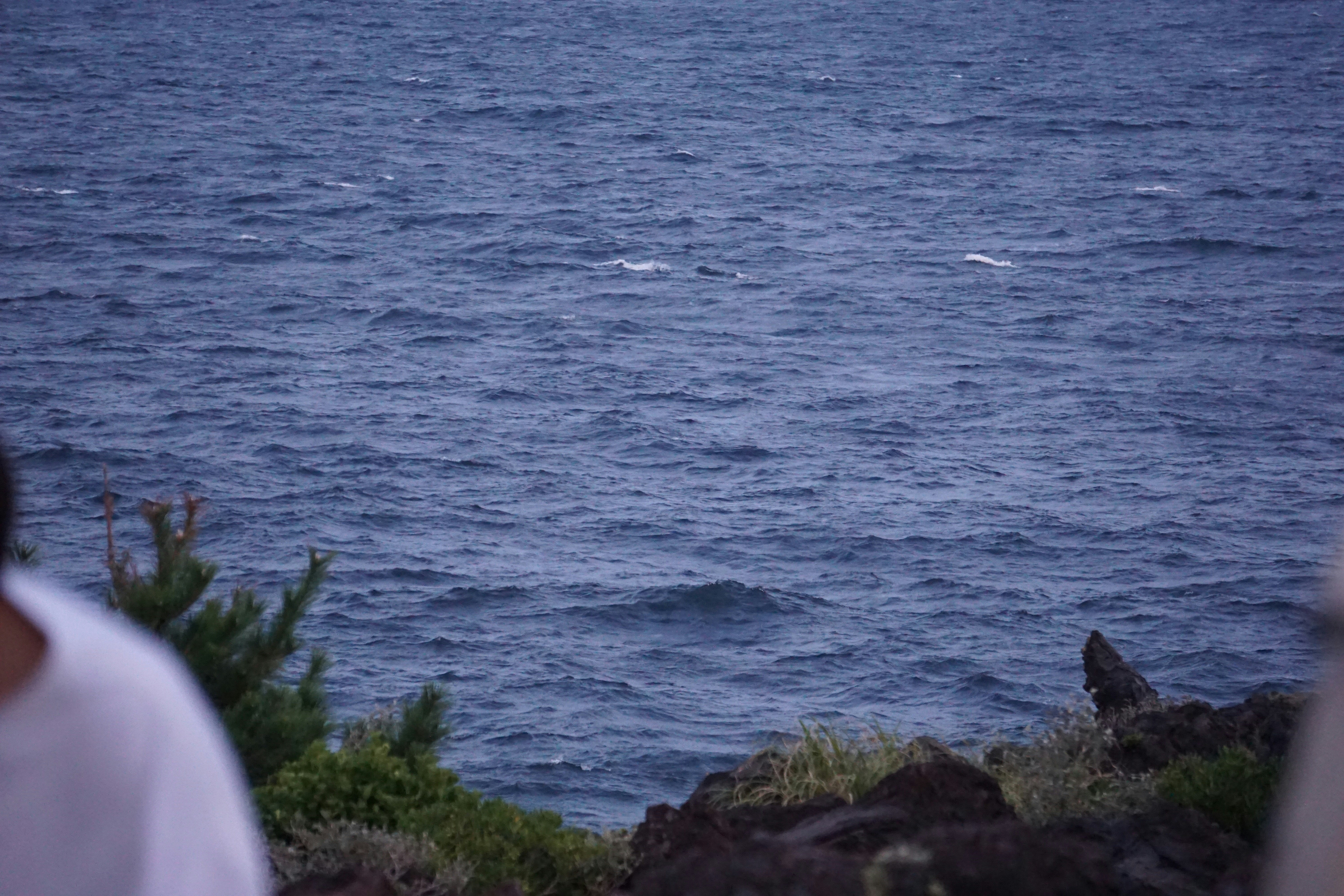 Whispers of the Deep Blue