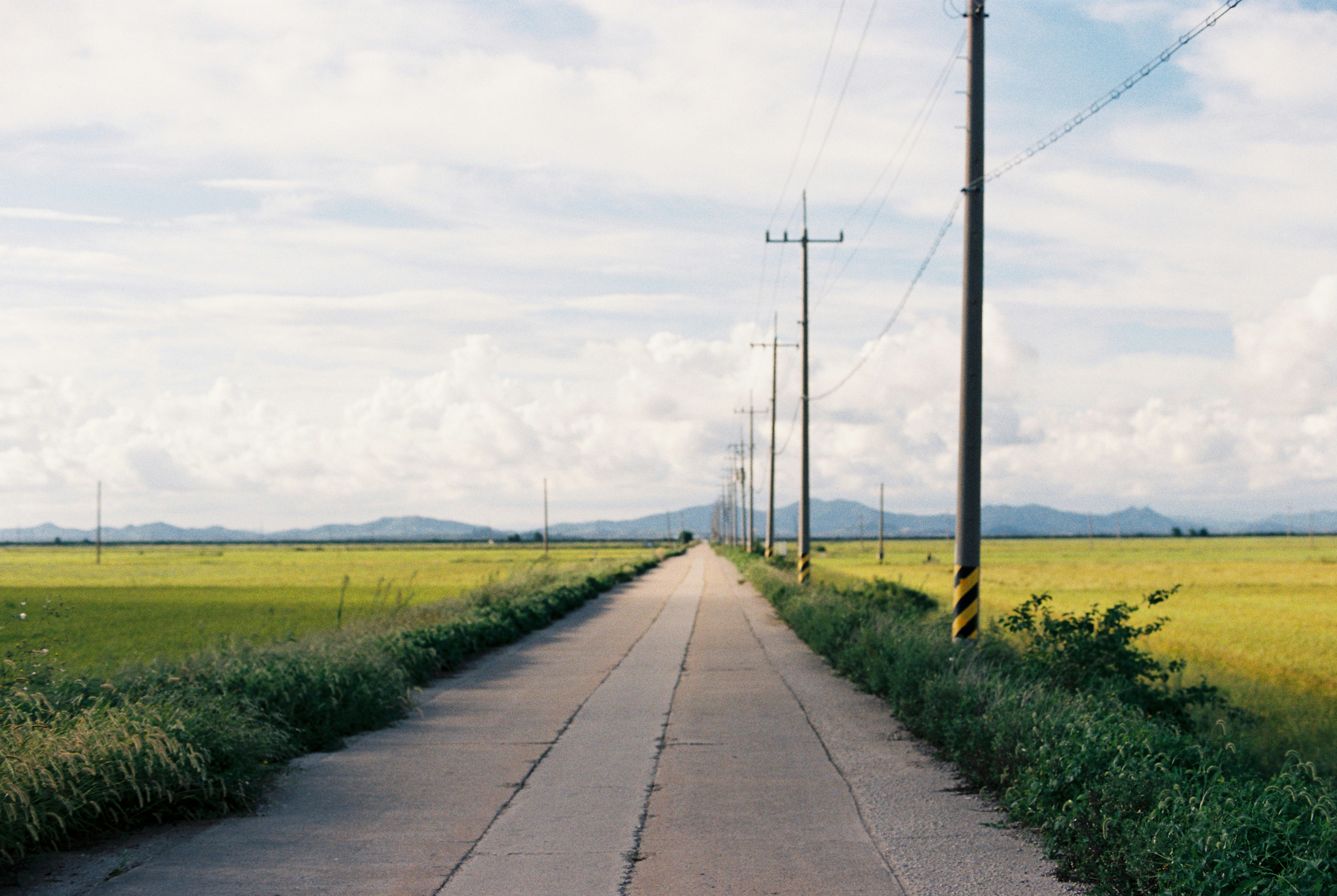 Endless Journey Through Verdant Fields