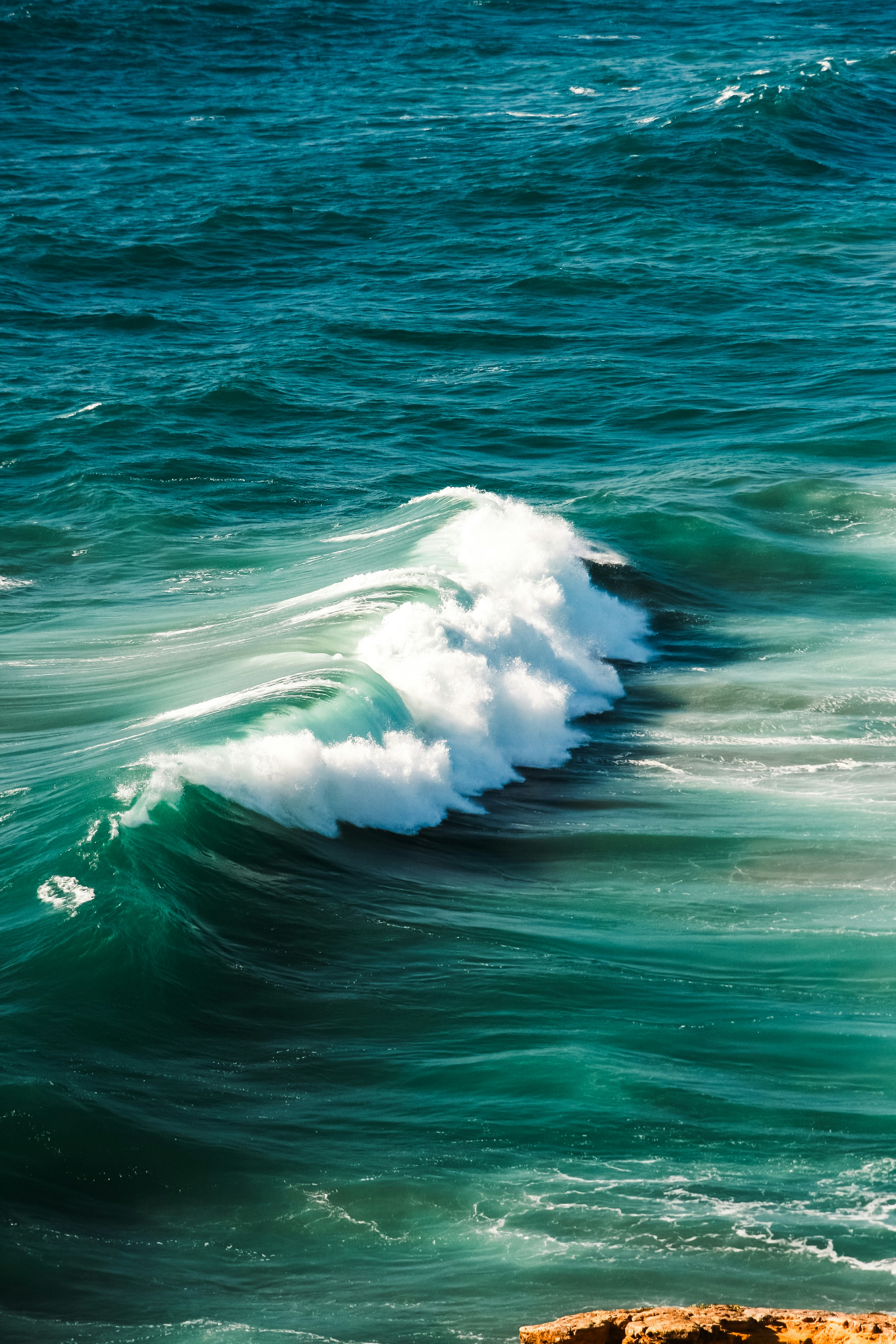 Whispers of the Ocean's Dance
