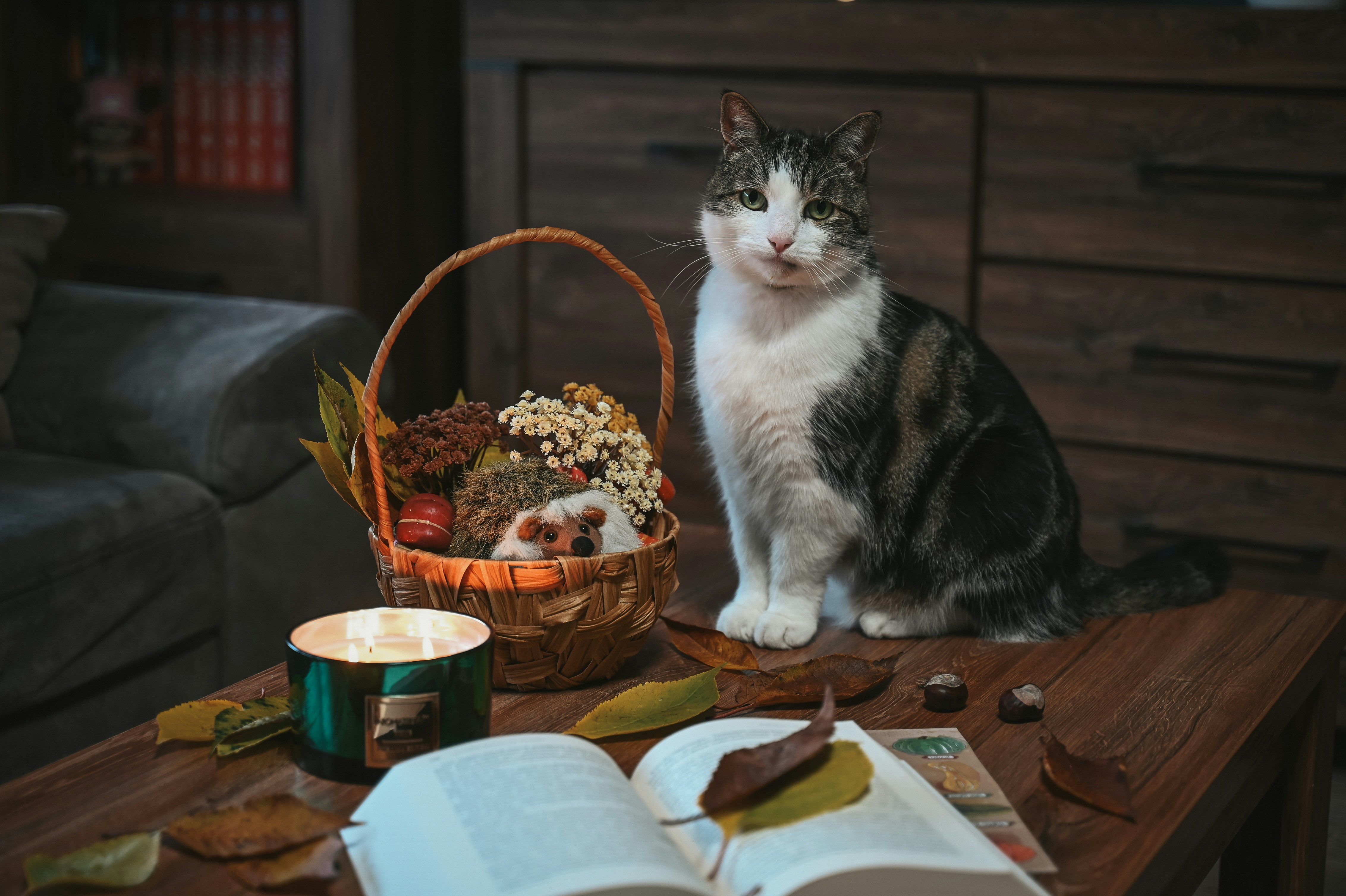 Whiskers and Whimsy: A Cozy Autumn Scene