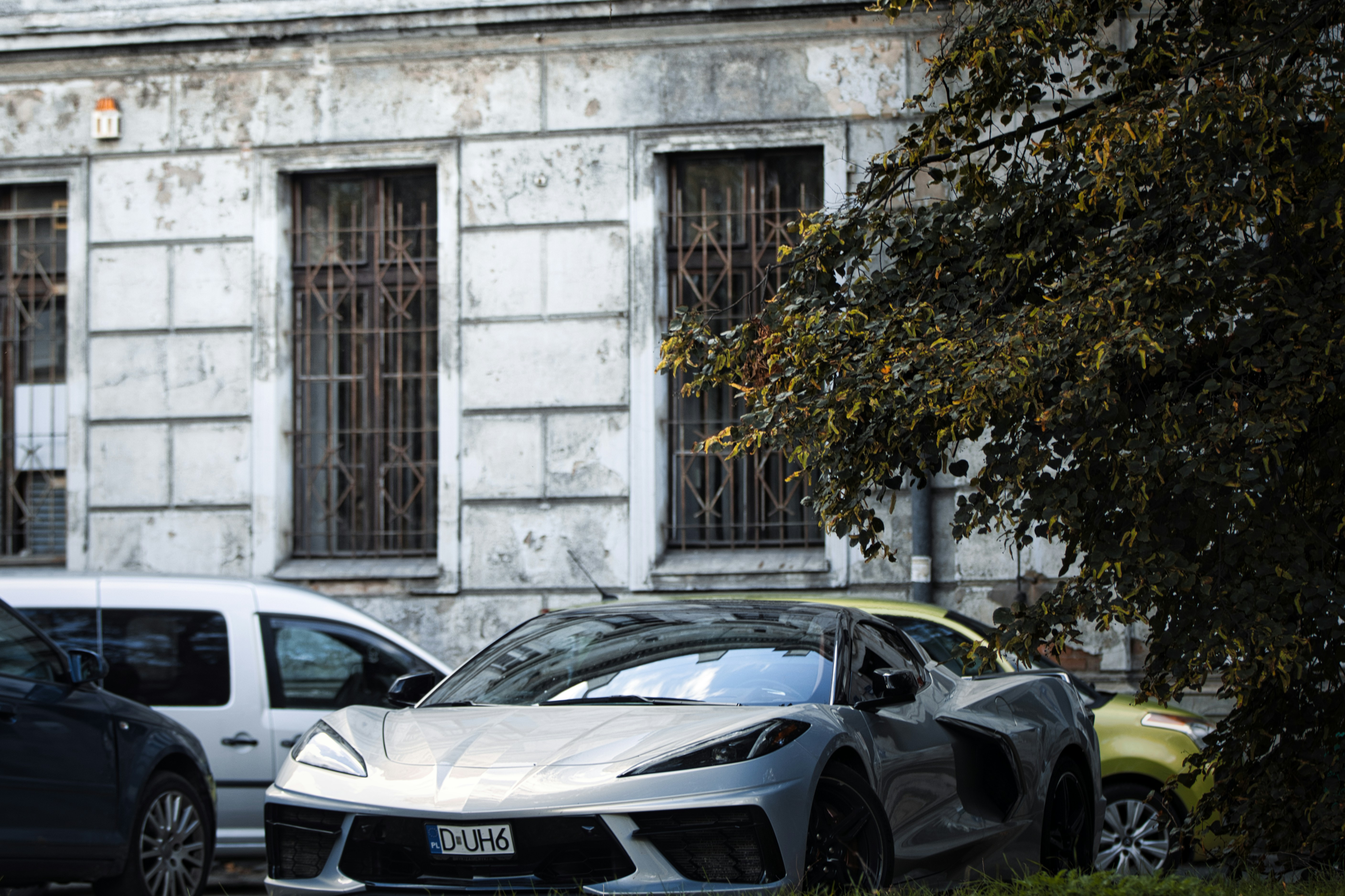 Photo by 𝕡𝕒𝕨𝕤 𝕒𝕟𝕕 𝕡𝕣𝕚𝕟𝕥𝕤 with Canon EOS 250D