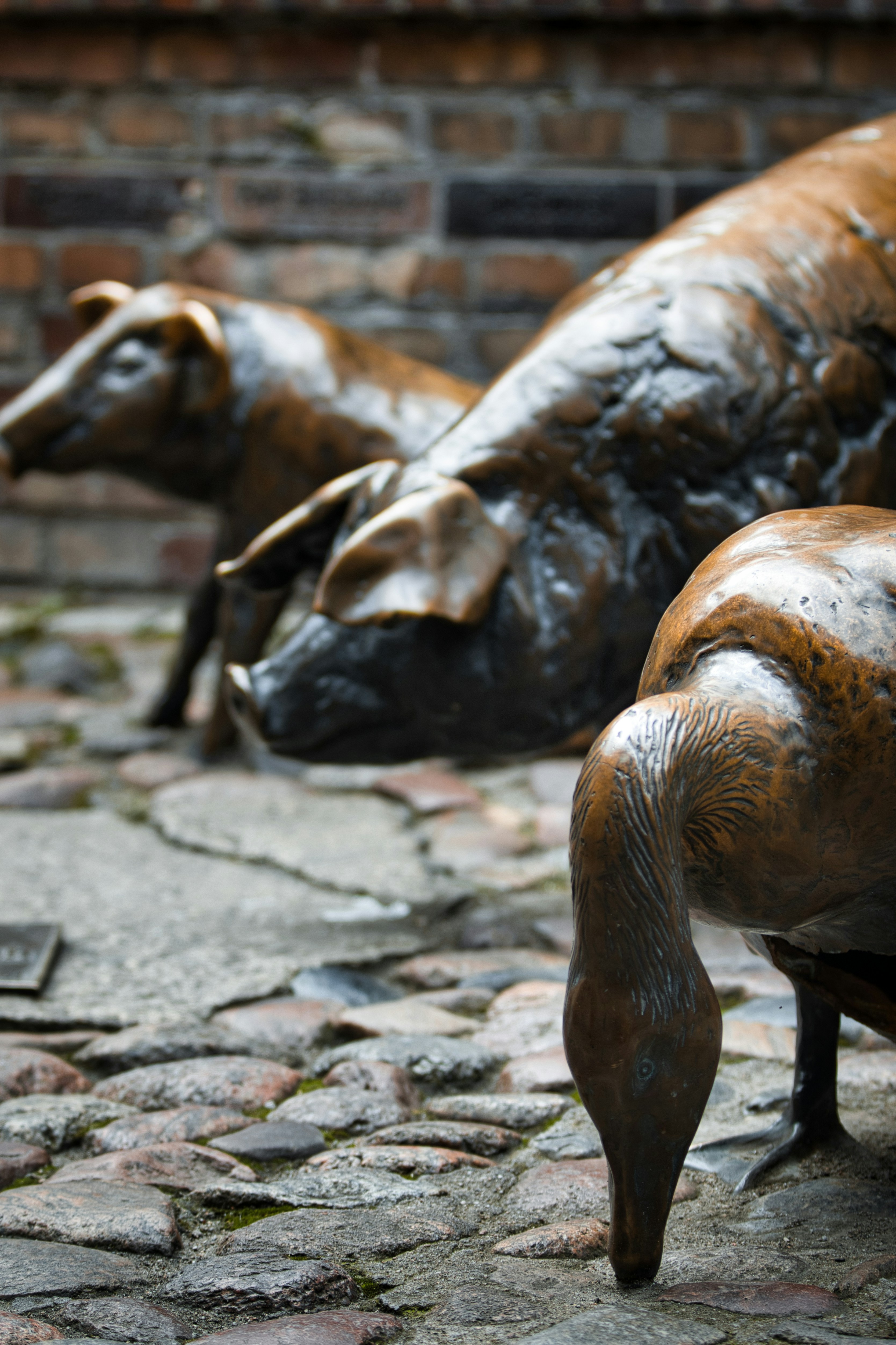 Bronze Horses at Rest: A Cobblestone Courtyard Study