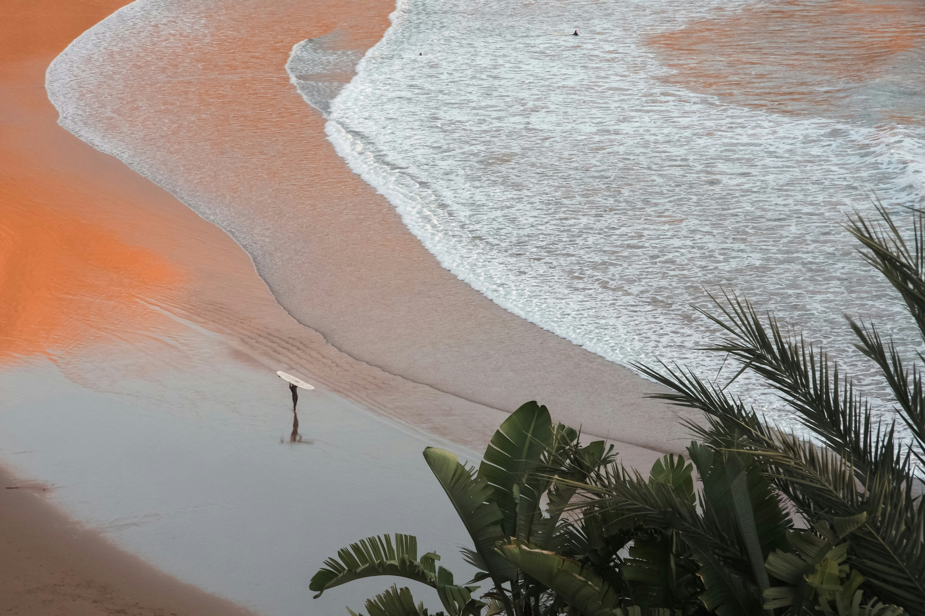 A lone figure stands on a serene beach, framed by gentle waves and lush foliage, evoking a sense of tranquility and reflection.