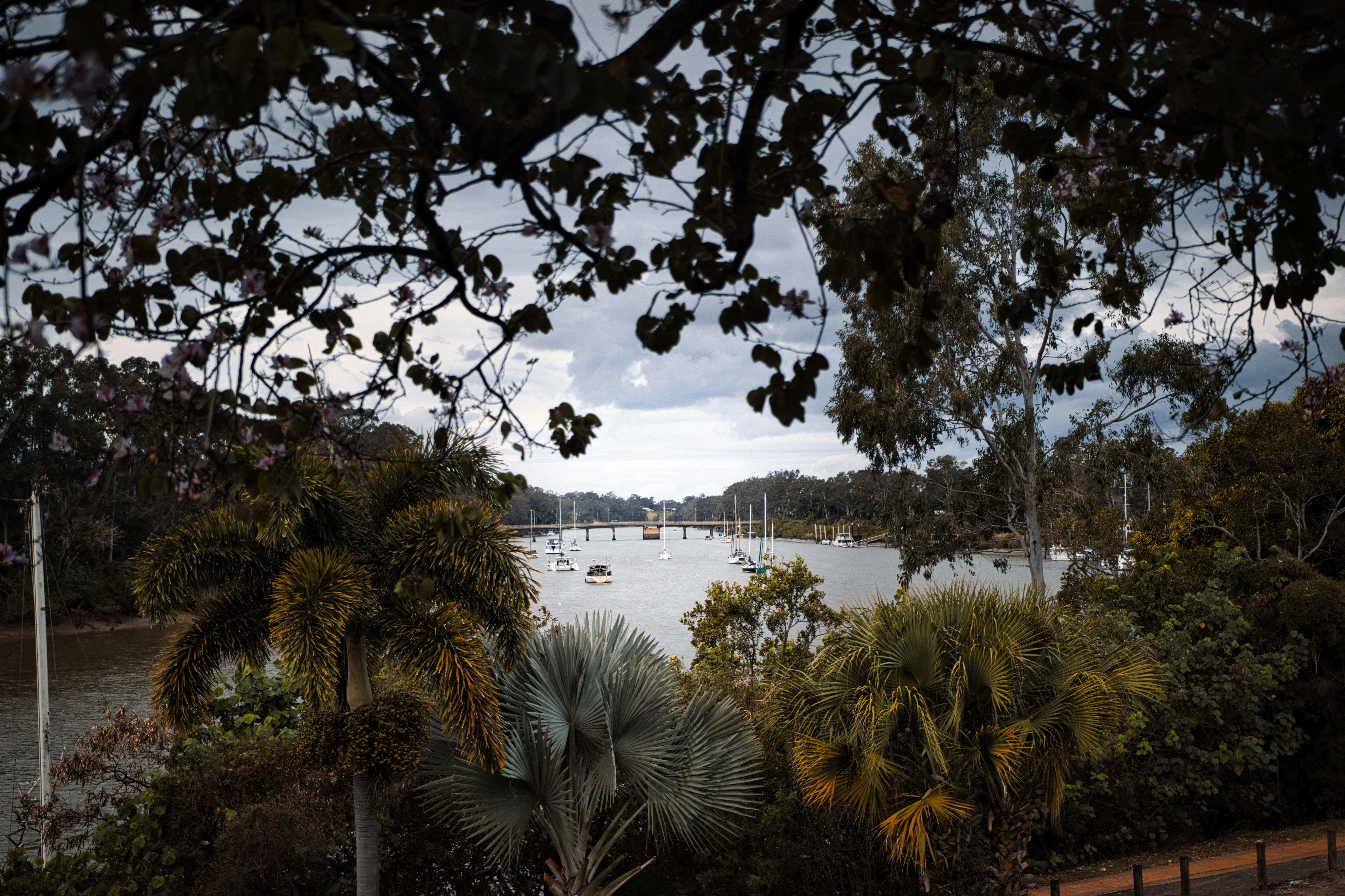 Photo by 𝕡𝕒𝕨𝕤 𝕒𝕟𝕕 𝕡𝕣𝕚𝕟𝕥𝕤 with Canon EOS 250D