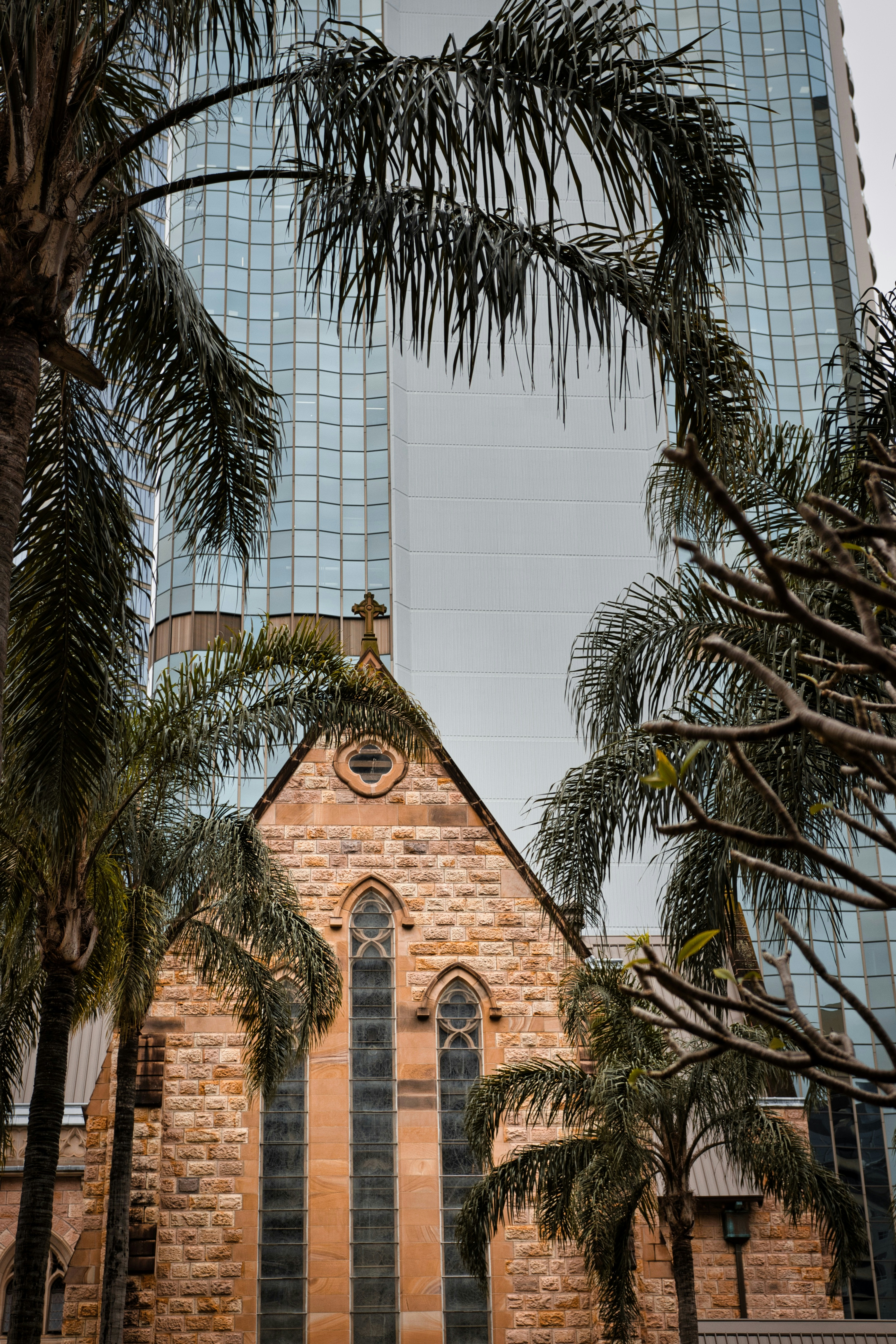 Stone Chapel Between Palm Fronds and a Glassy Skyline