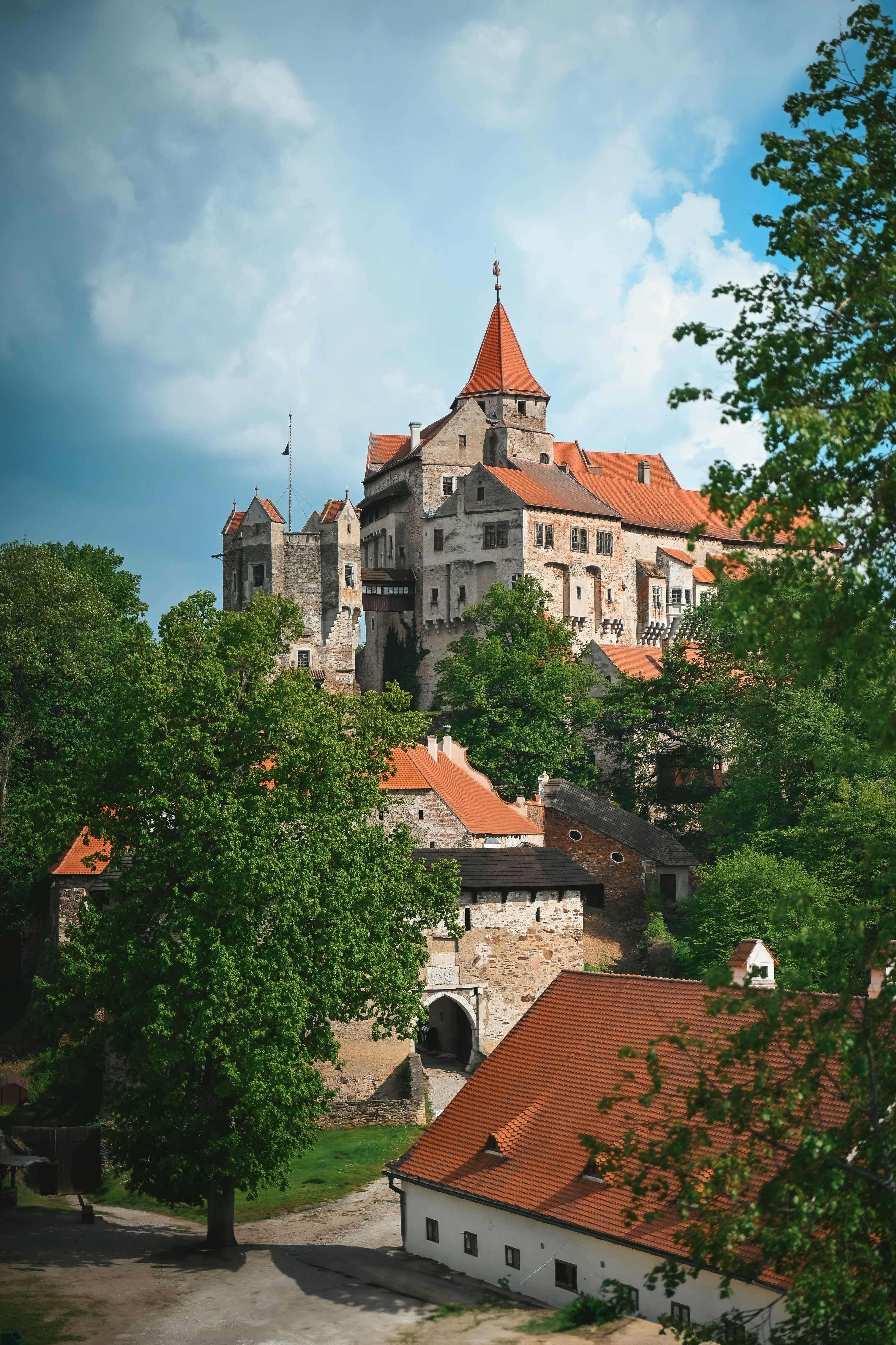 Castle perched on a hill surrounded by trees
