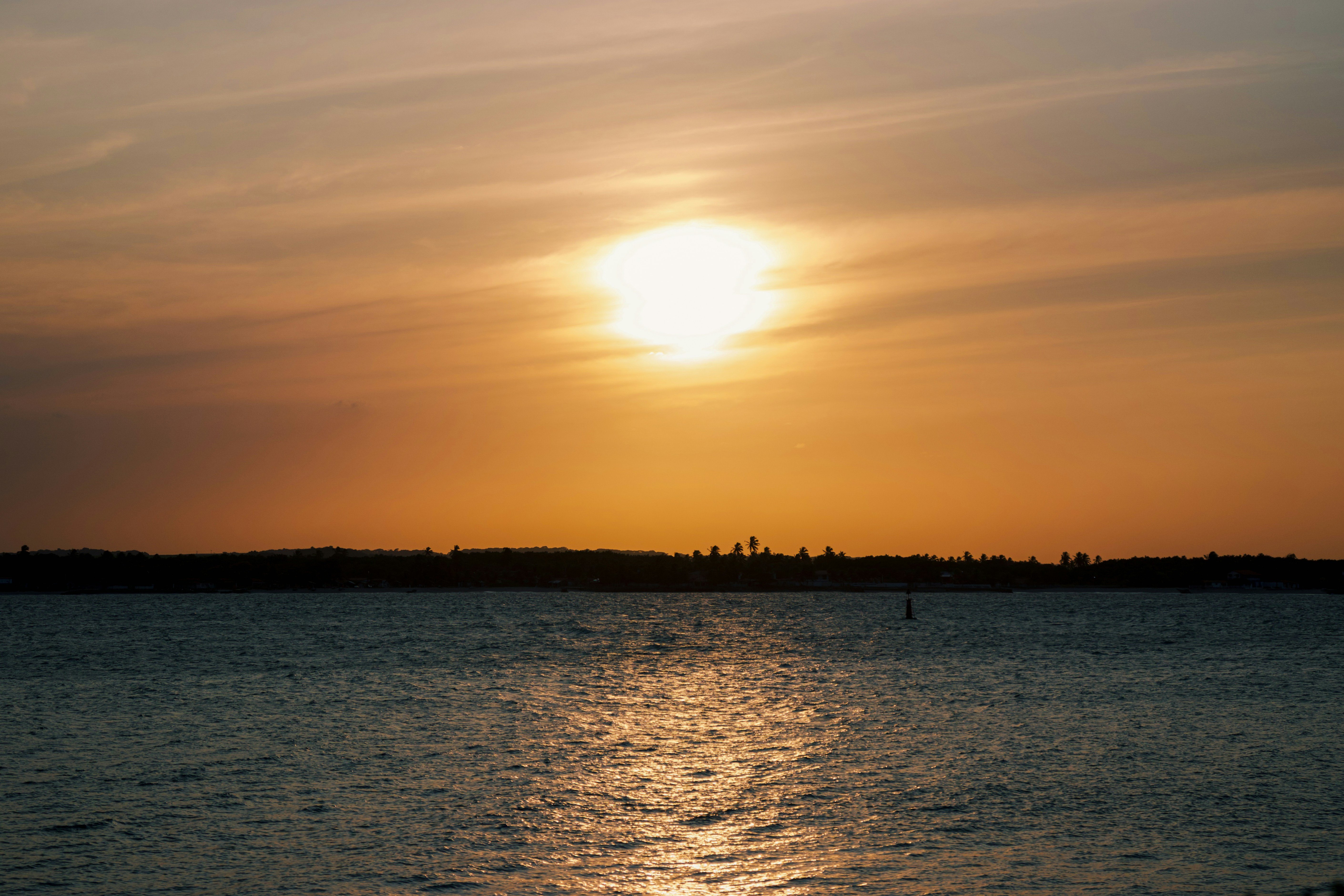 Golden Horizon: A Sunset Symphony