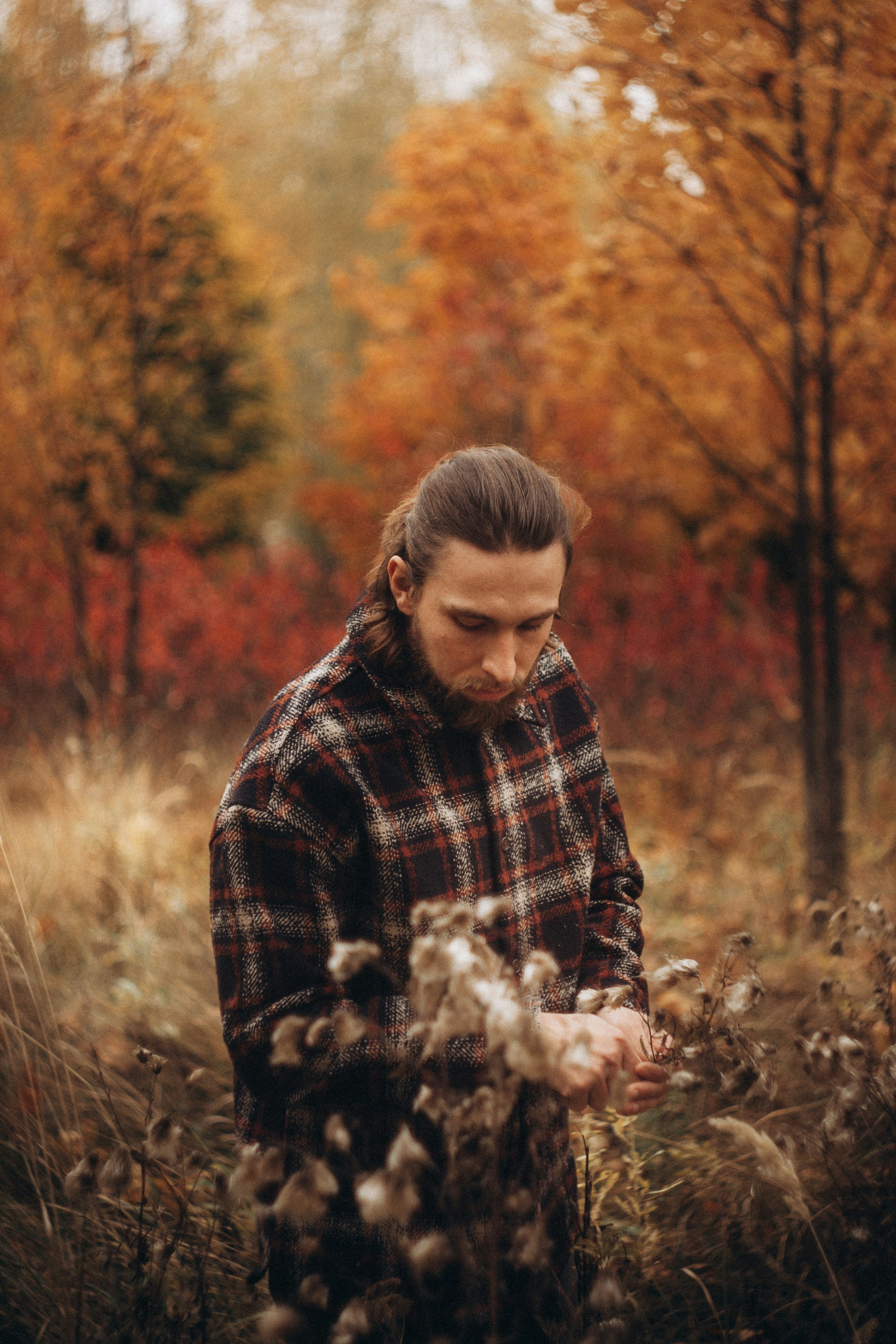 Autumnal Reflection in Nature's Embrace